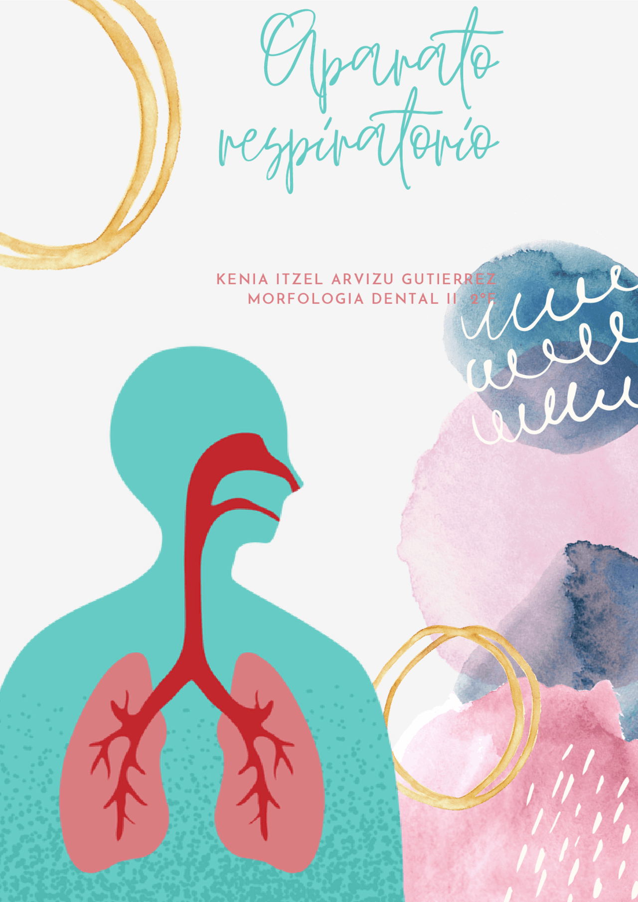 Sistema Respiratorio Diapositivas De Anatomía Docsity