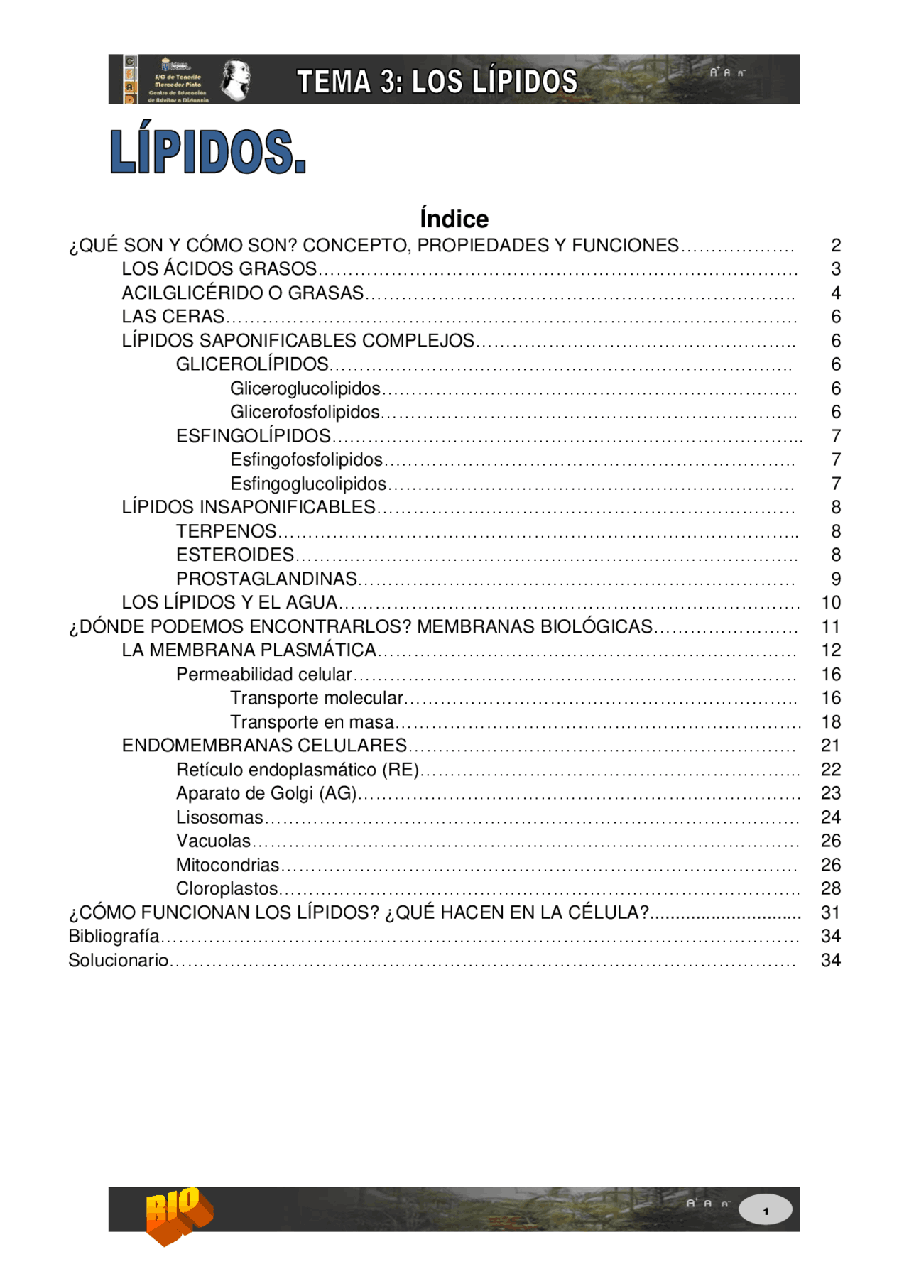 Lípidos Apuntes Tema 3 Docsity