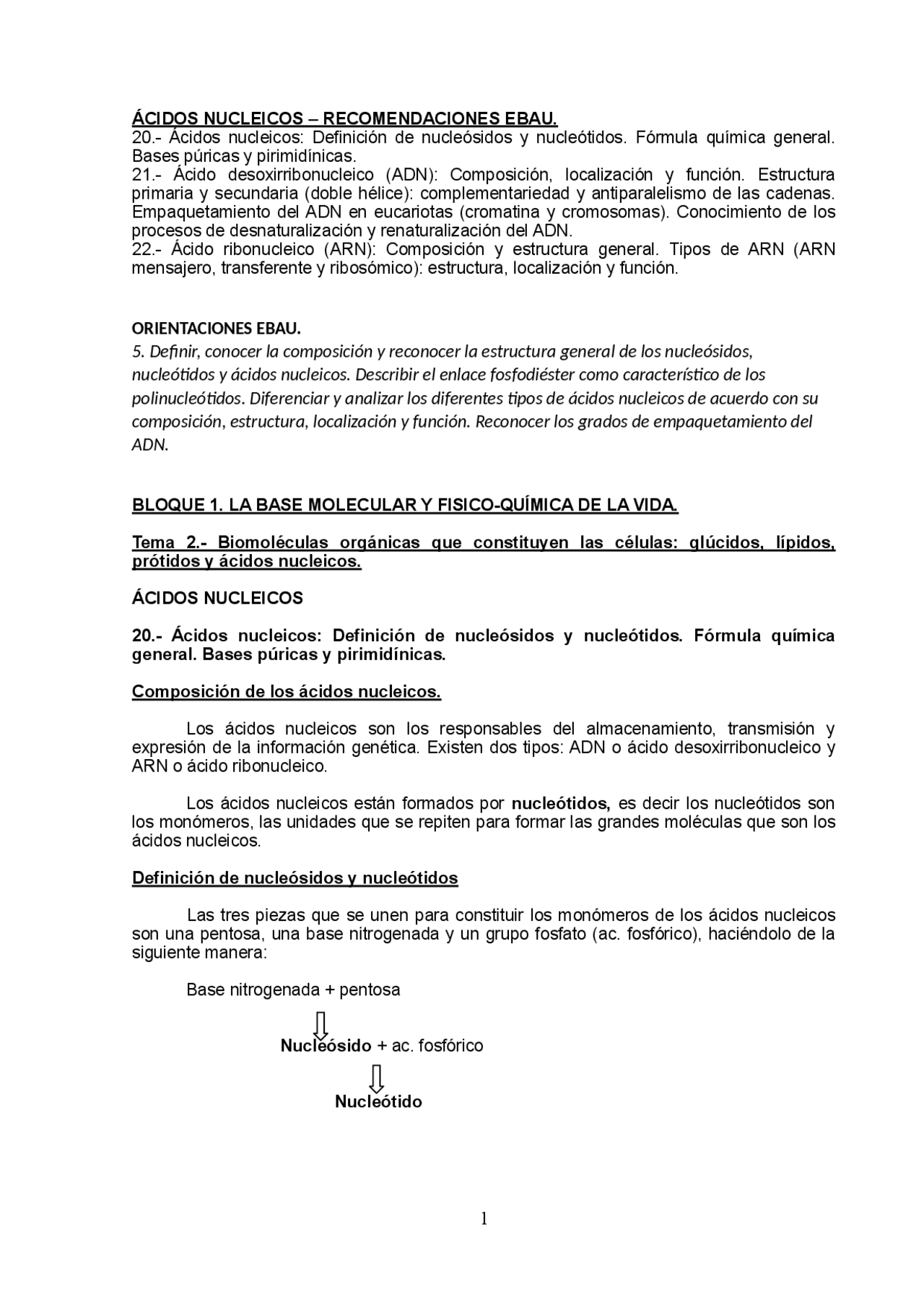 Ácidos Nucleicos BioquÍmica 2 Bach Docsity