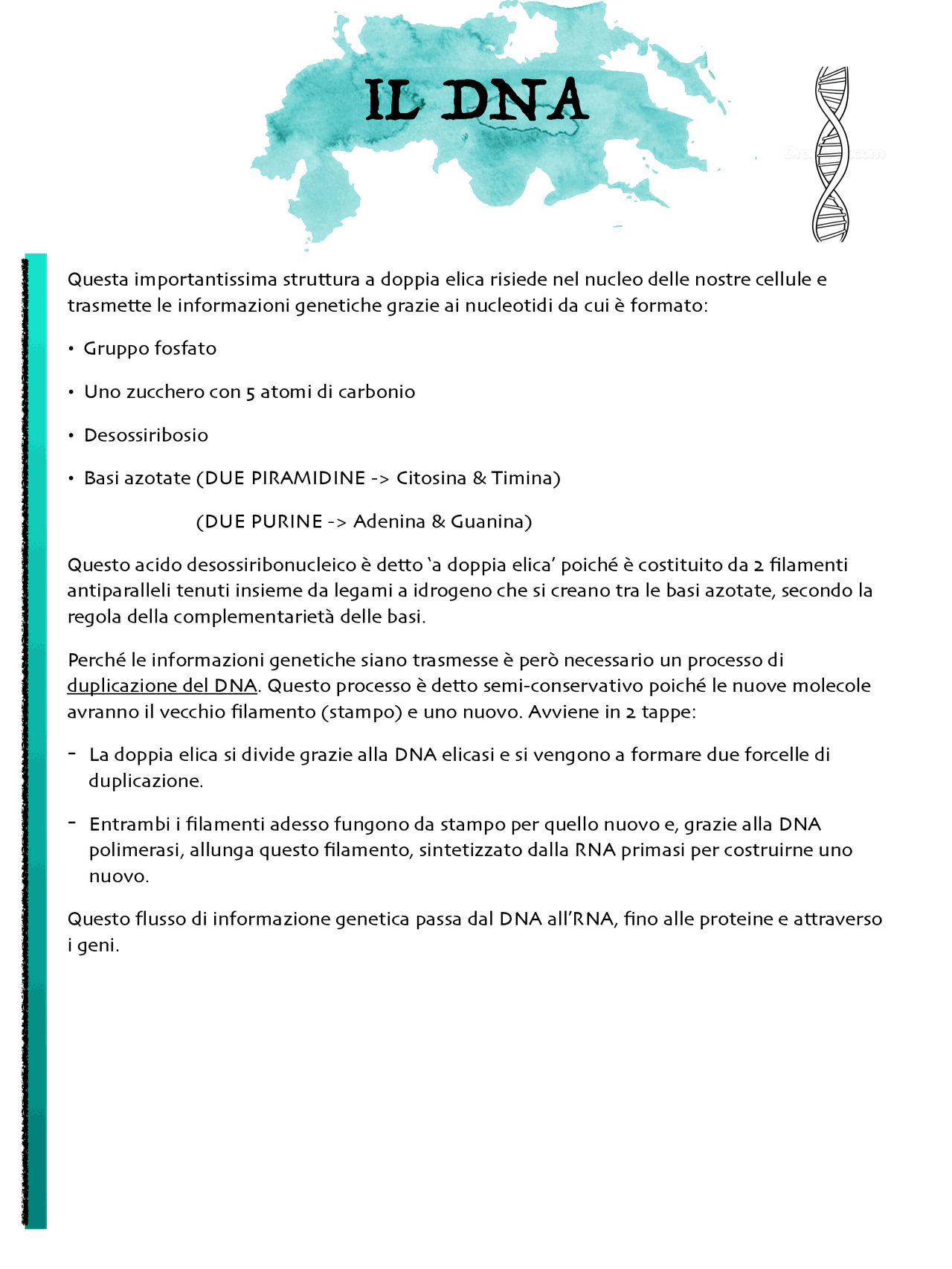Sintesi Fisica Su 4 Argomenti Centrali Docsity