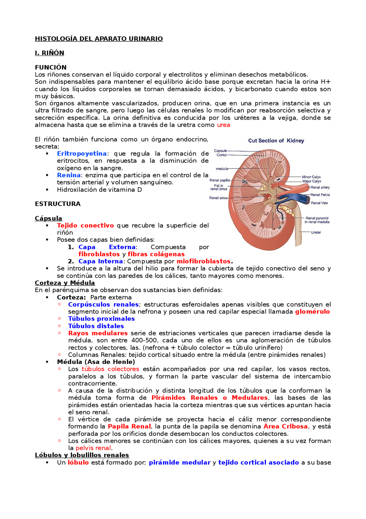 Sistemas de libro ROSS - Docsity