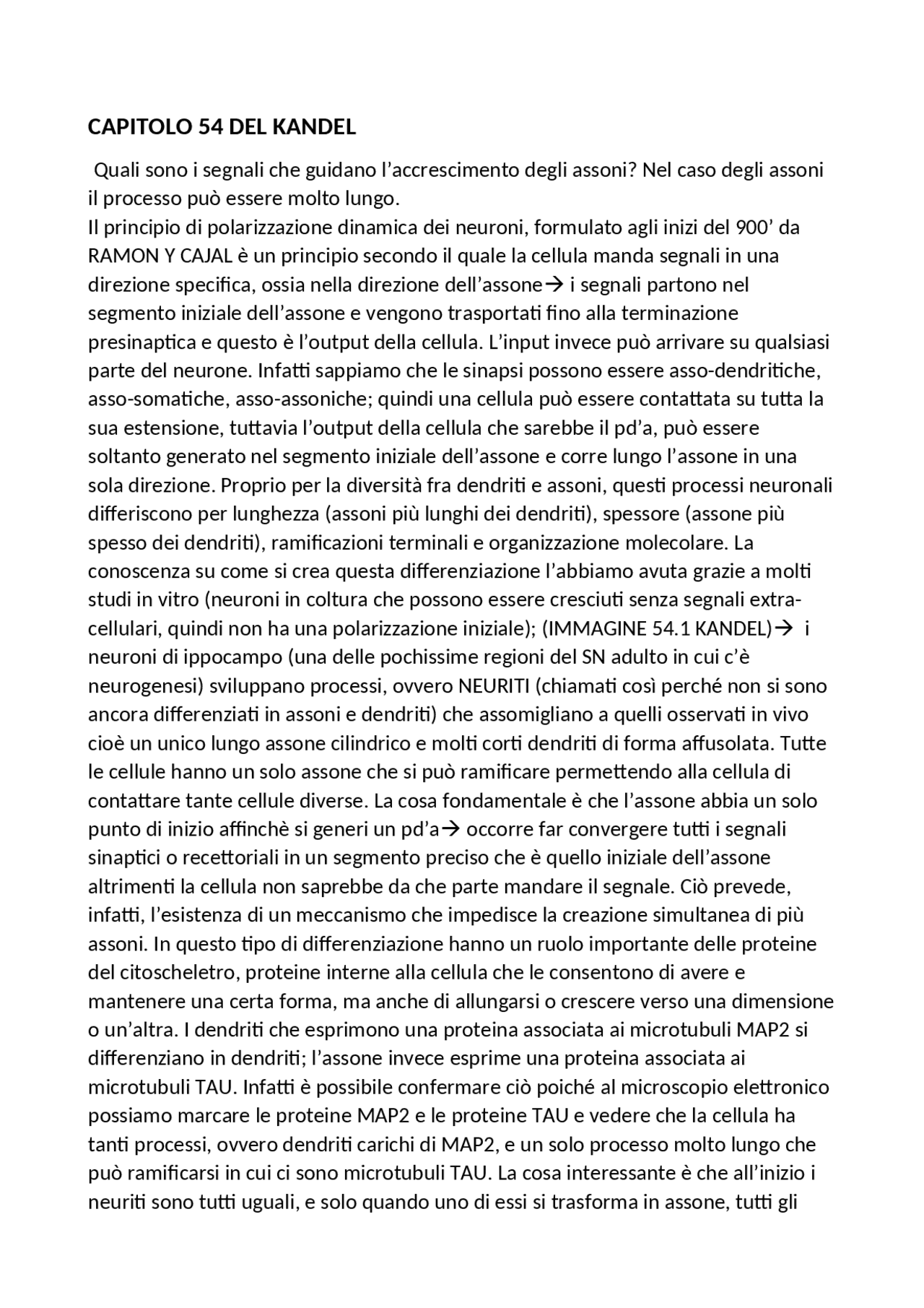 Capitolo 54 Del Kandel Docsity