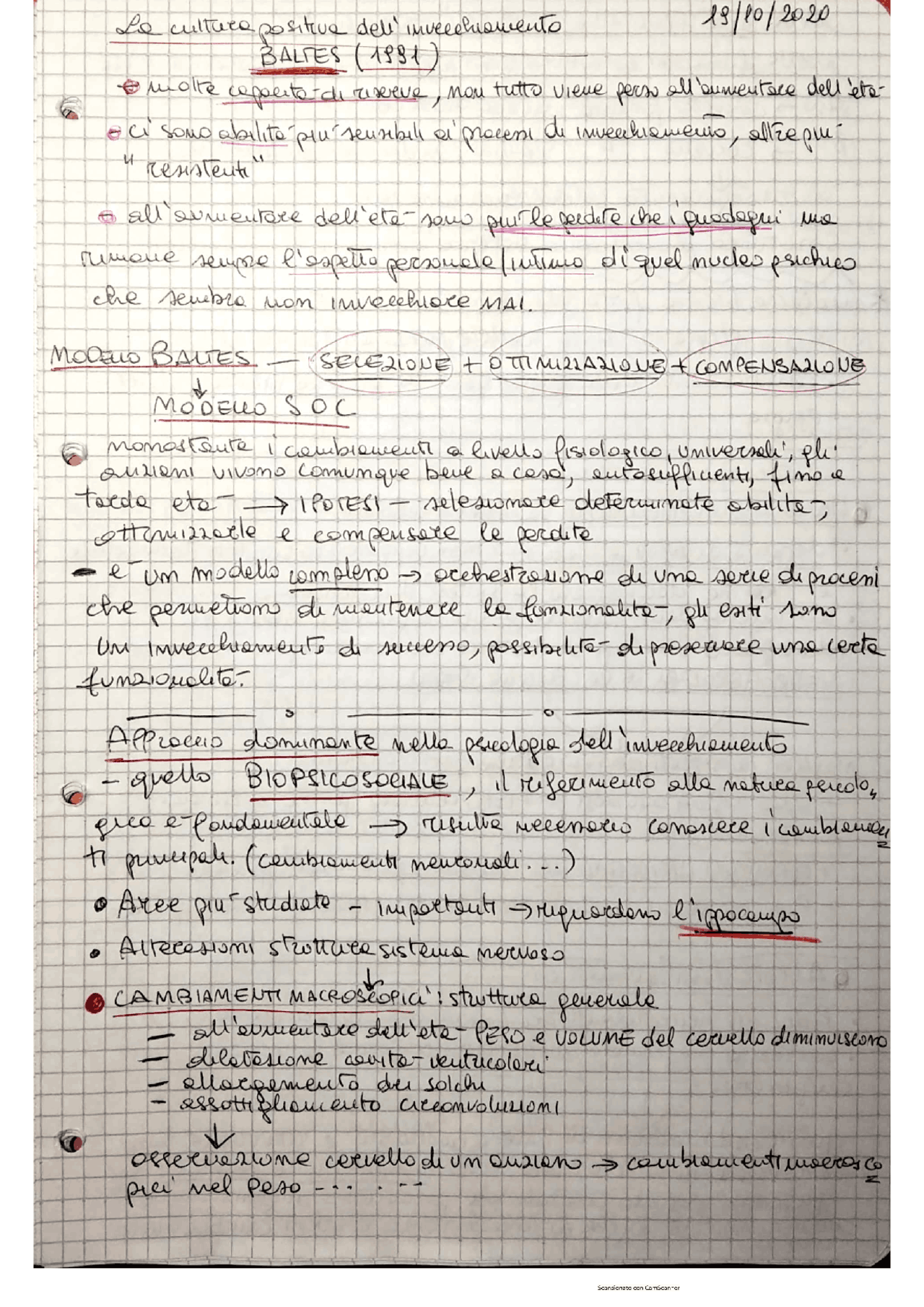 La Cultura Positiva Dellinvecchiamento Docsity