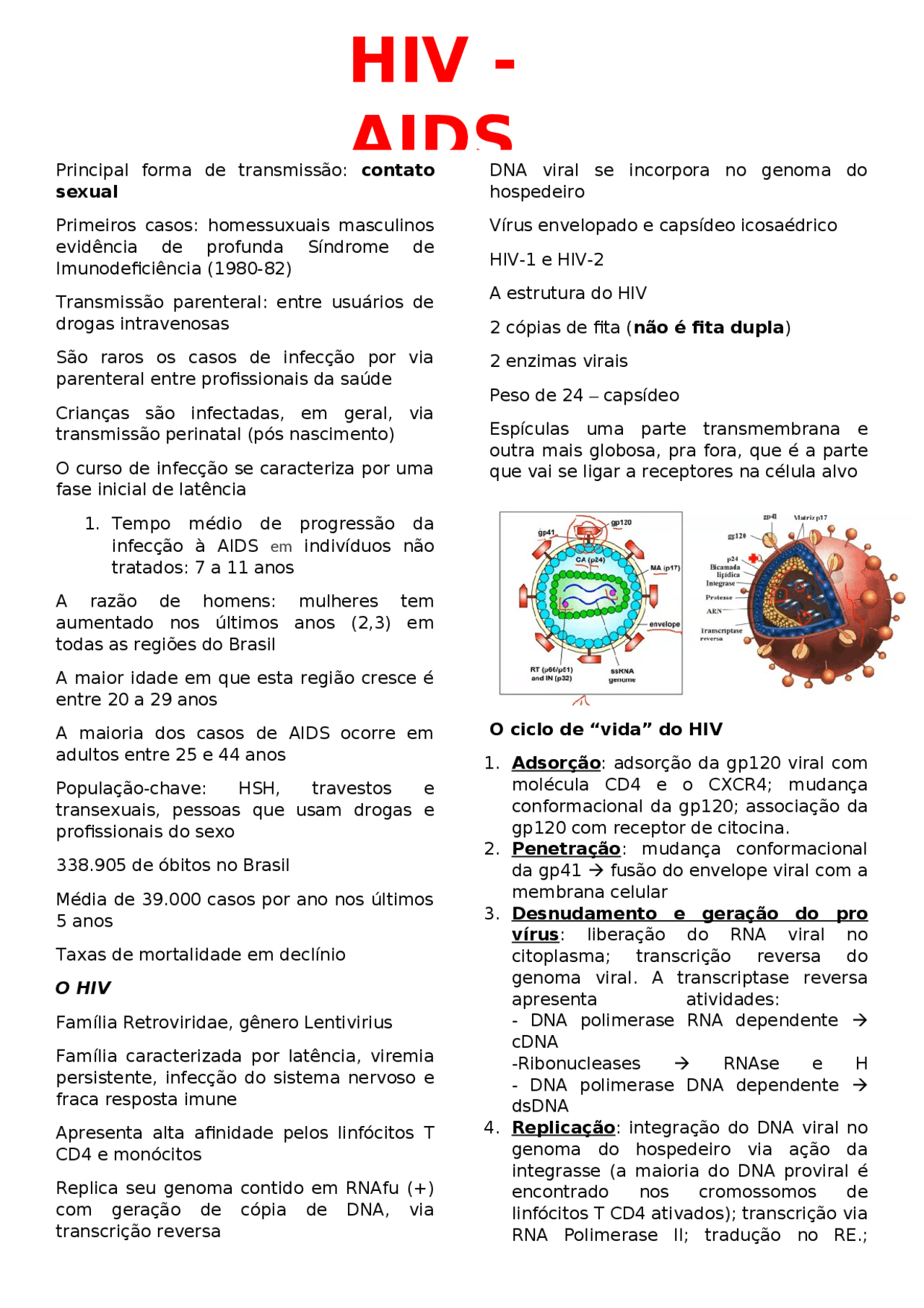 Microbiologia Vírus Docsity