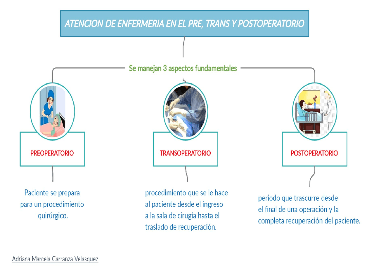 Periodos operatorios - Docsity
