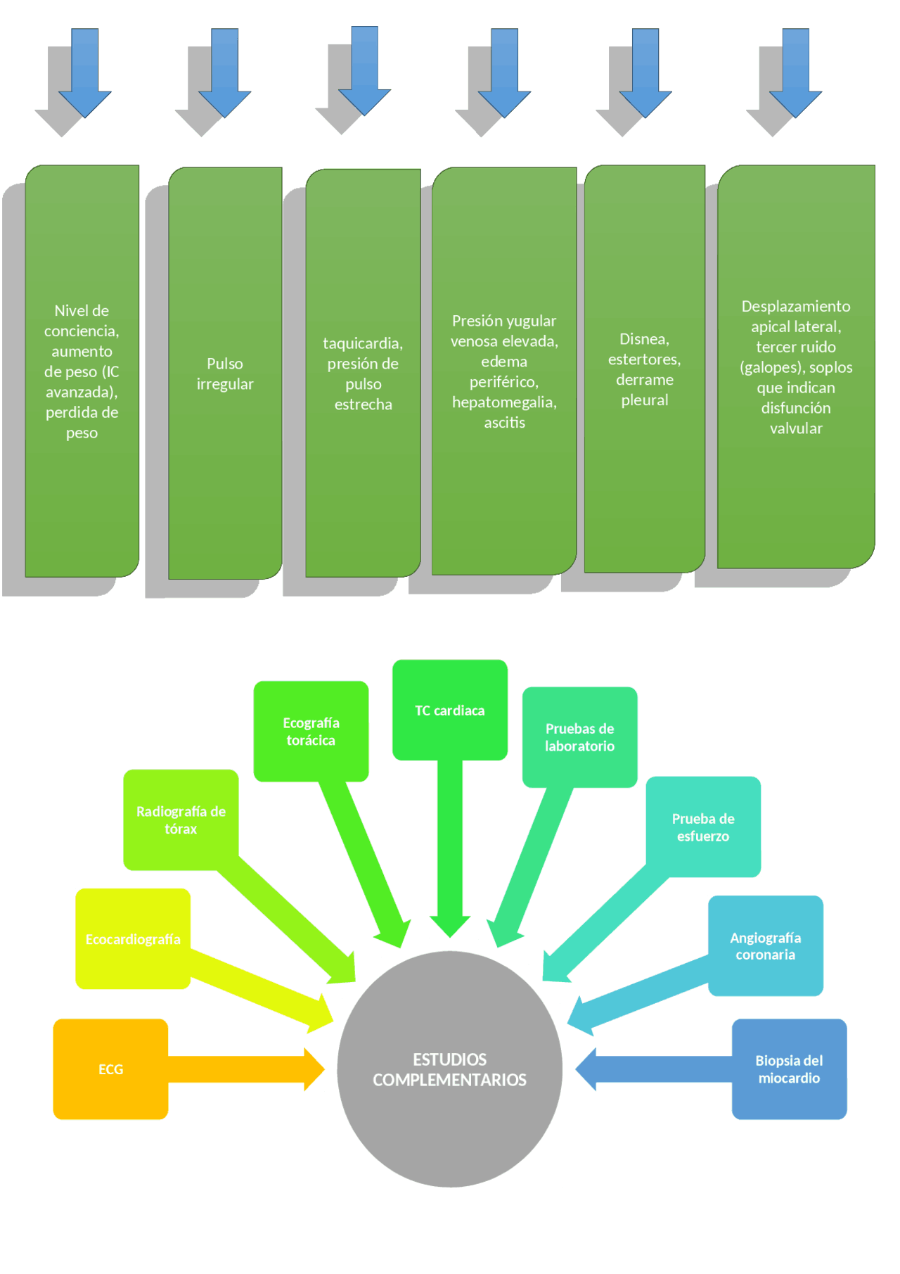 Examen fisico y Estudios complementarios - Docsity