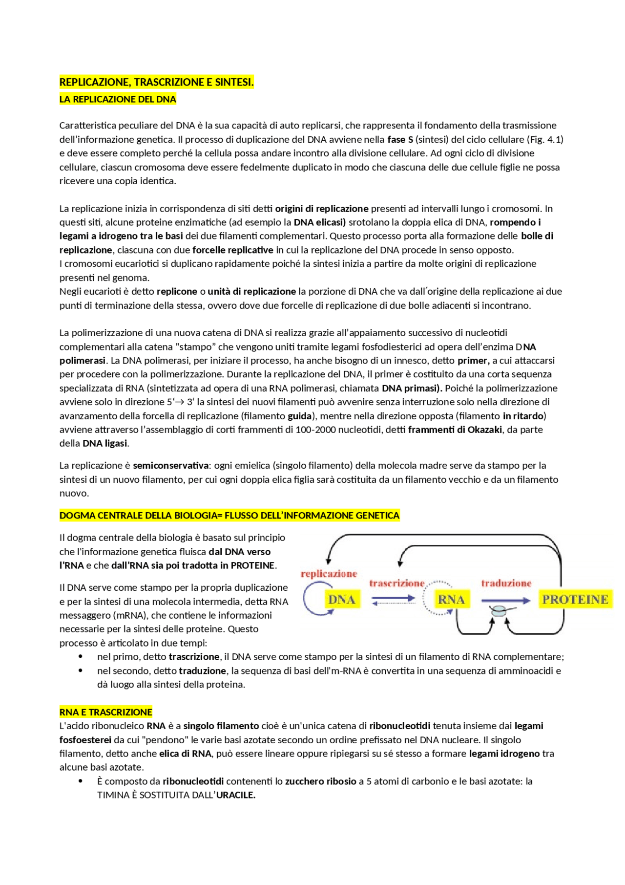 Replicazione Trascrizione E Sintesi Rna Docsity