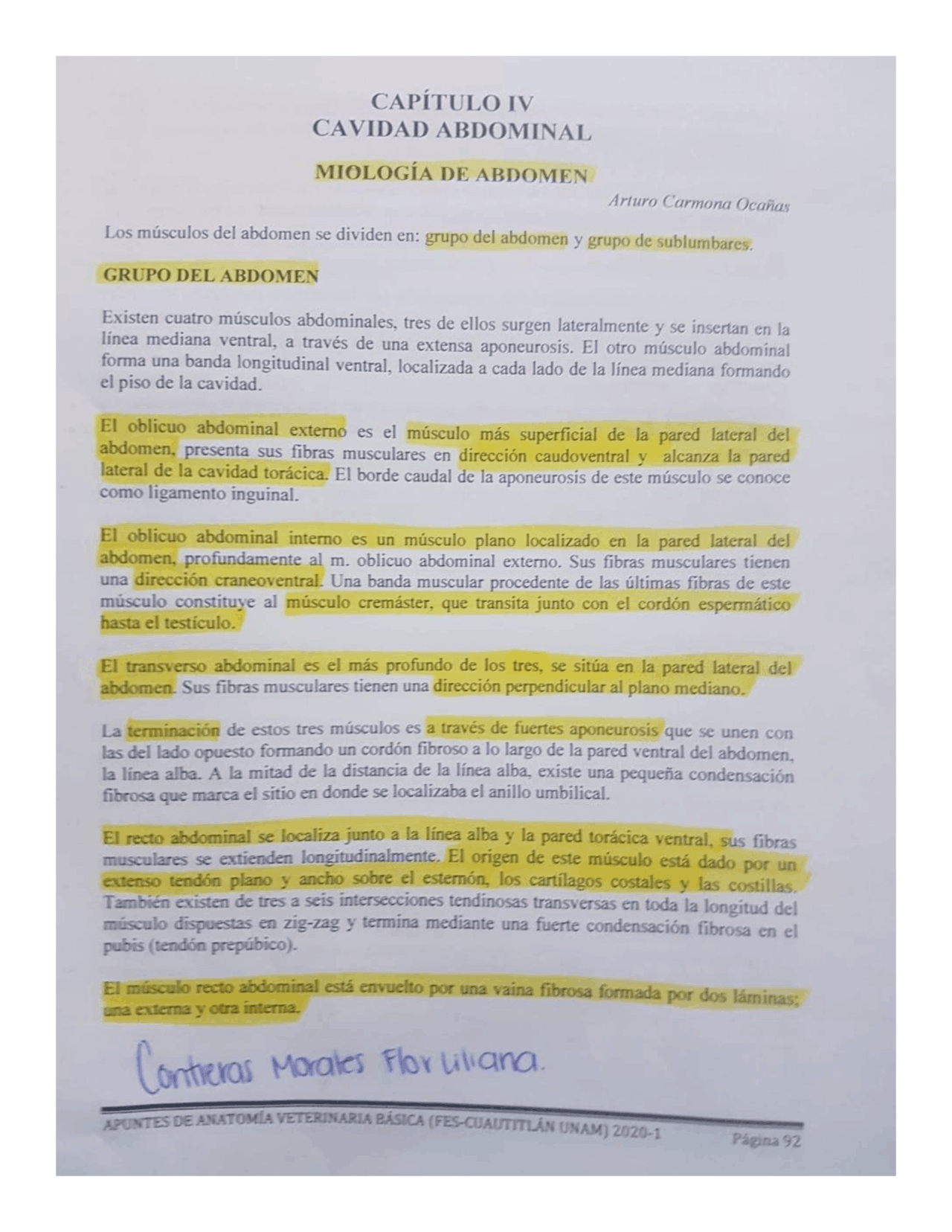 Apuntes De Cavidad Abdominal Vet Docsity
