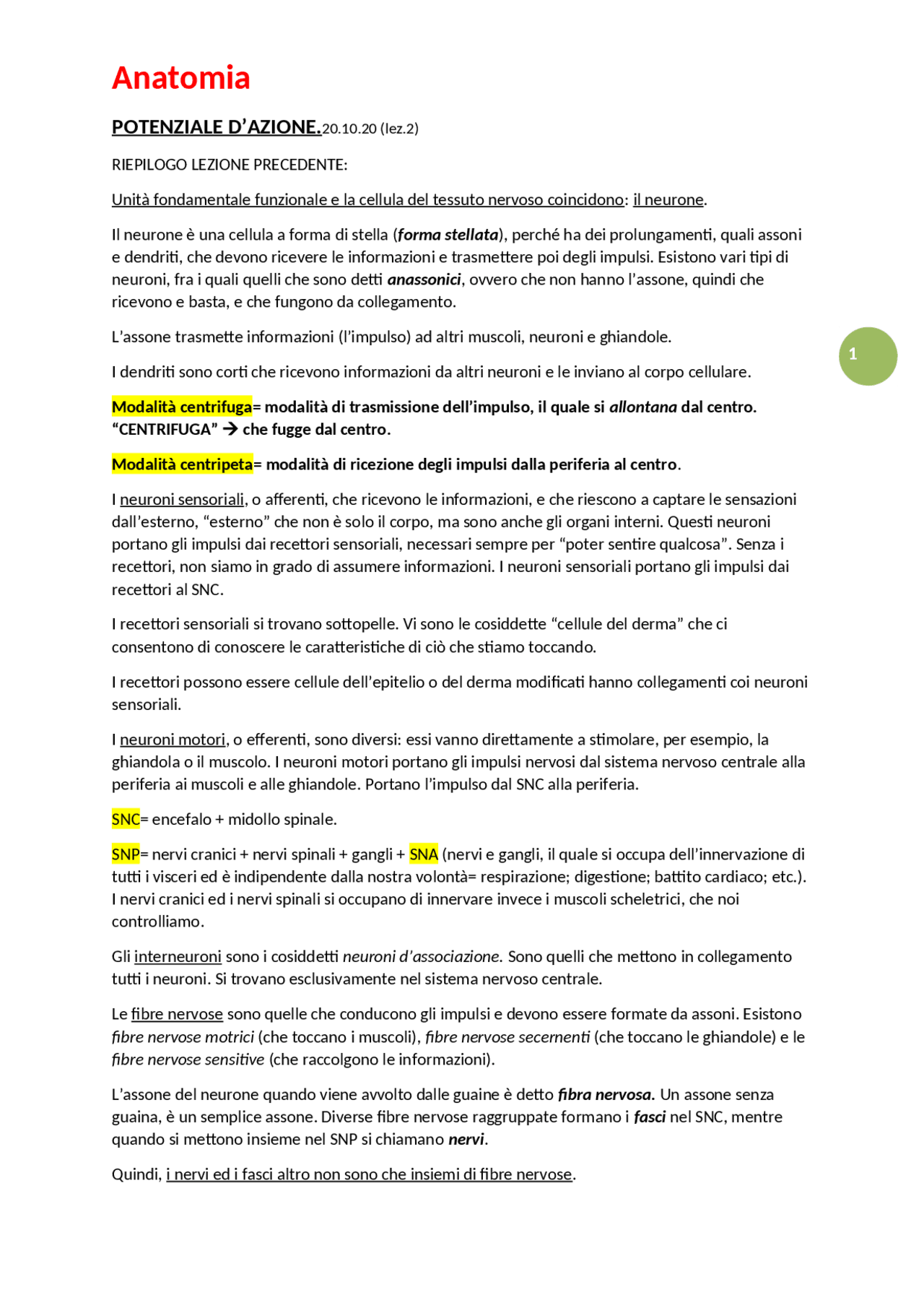 Appunti Anatomia Sul Sistema Nervoso Docsity