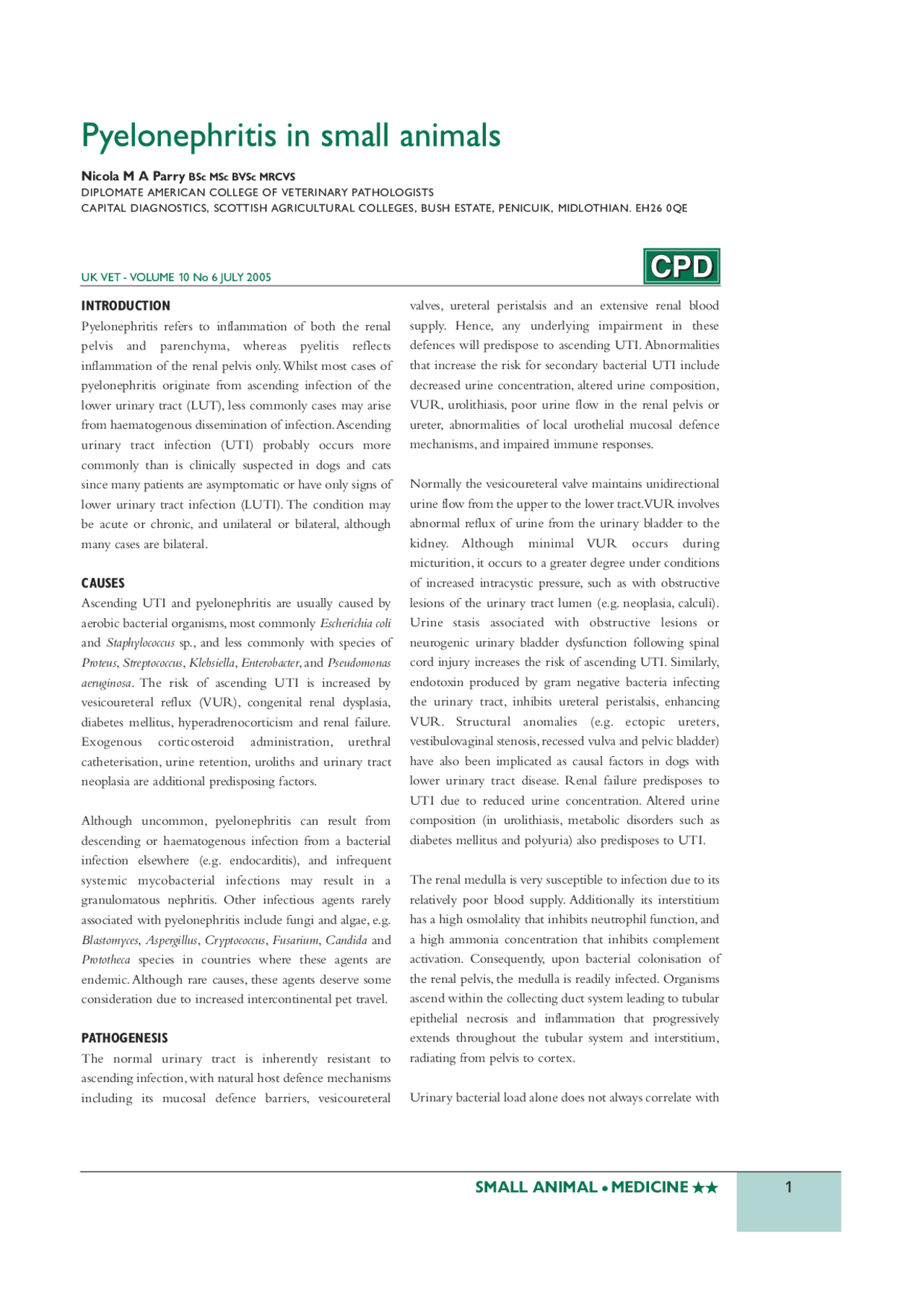 Pyelonephritis in small animals - Docsity