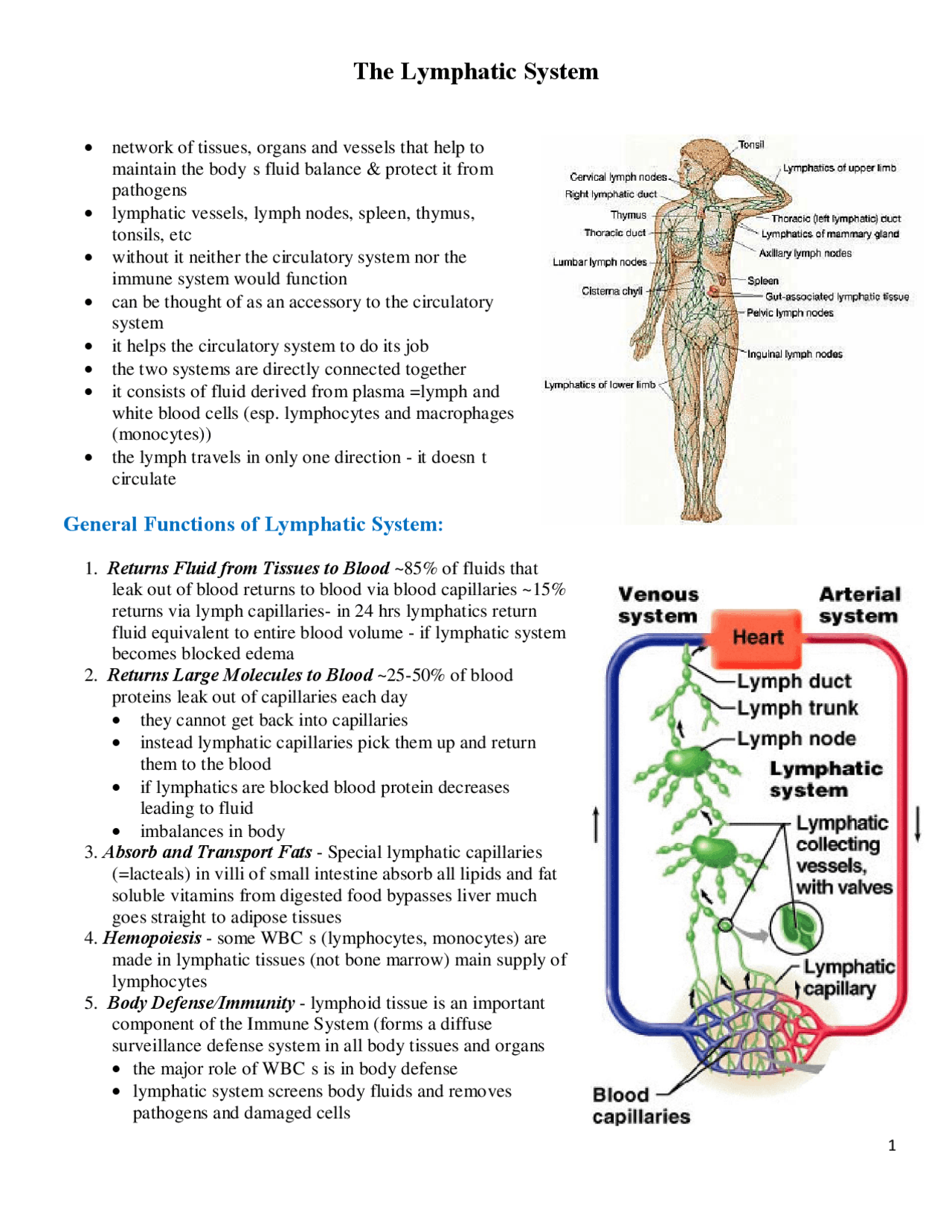 Definition of Lymphatic system - Docsity