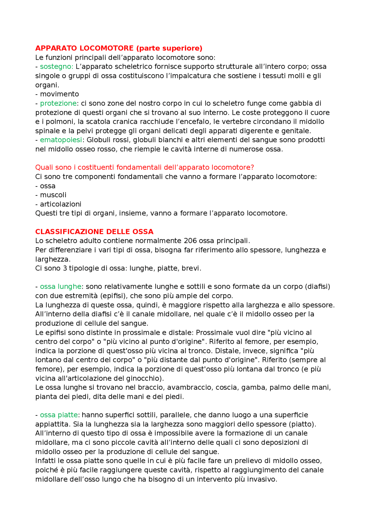 Scheletro Superiore Anatomia Umana Docsity