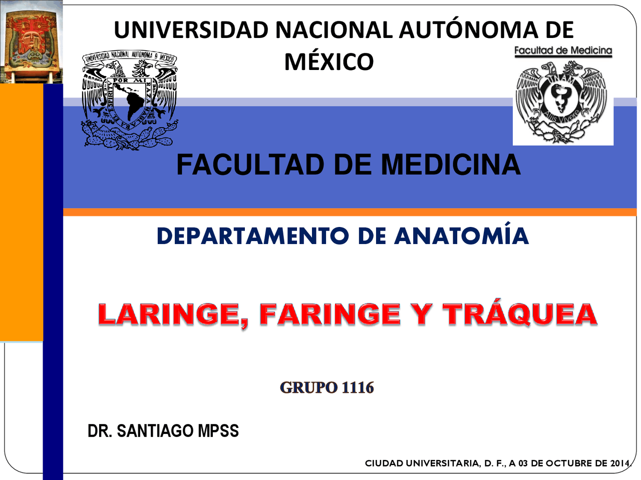 Anatomia Laringe Faringe Traquea Diapositivas De Anatomía Docsity