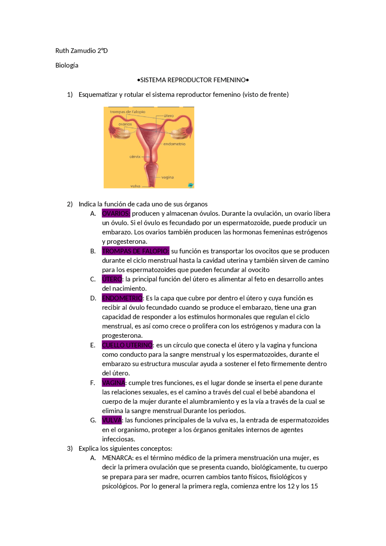 Sistema Reproductor Femenino Apuntes De Biología Docsity
