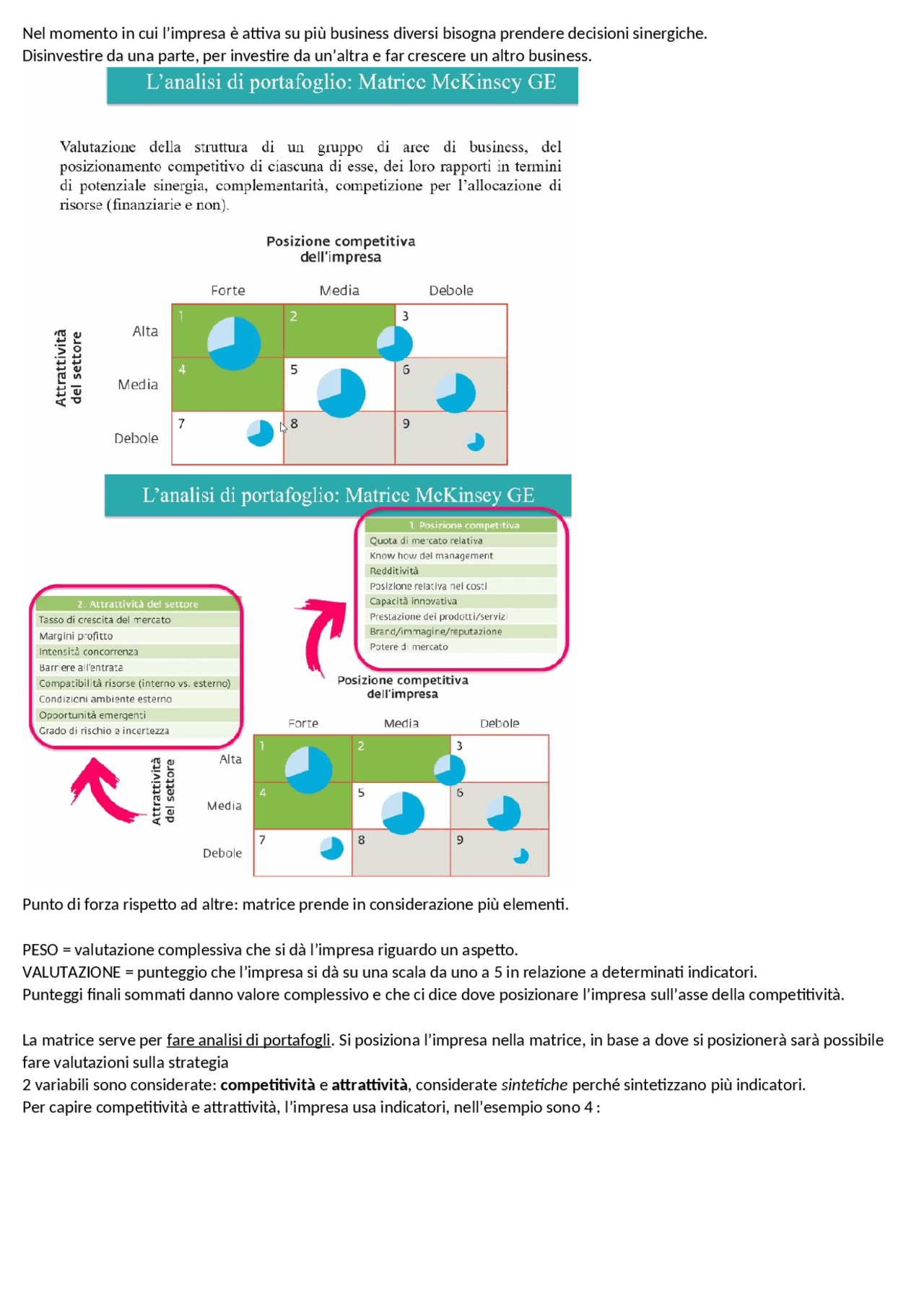 Appunti Market Driven Management Matrice Mckinsey Docsity