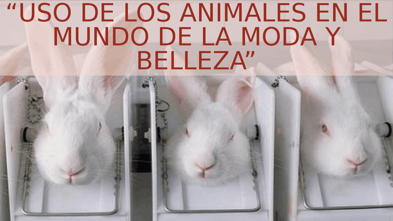 USO DE LOS ANIMALES EN EL MUNDO DE LA MODA Y BELLEZA - Docsity