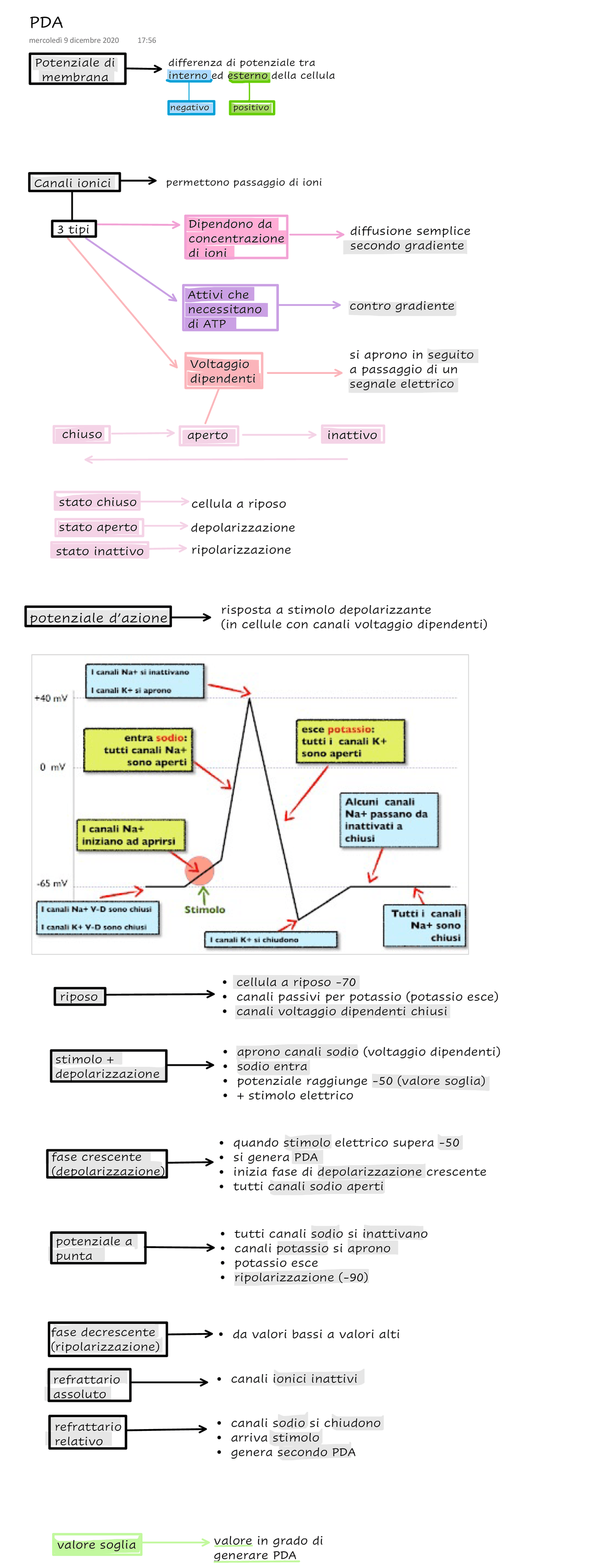 Potenziale Dazione Pda Docsity