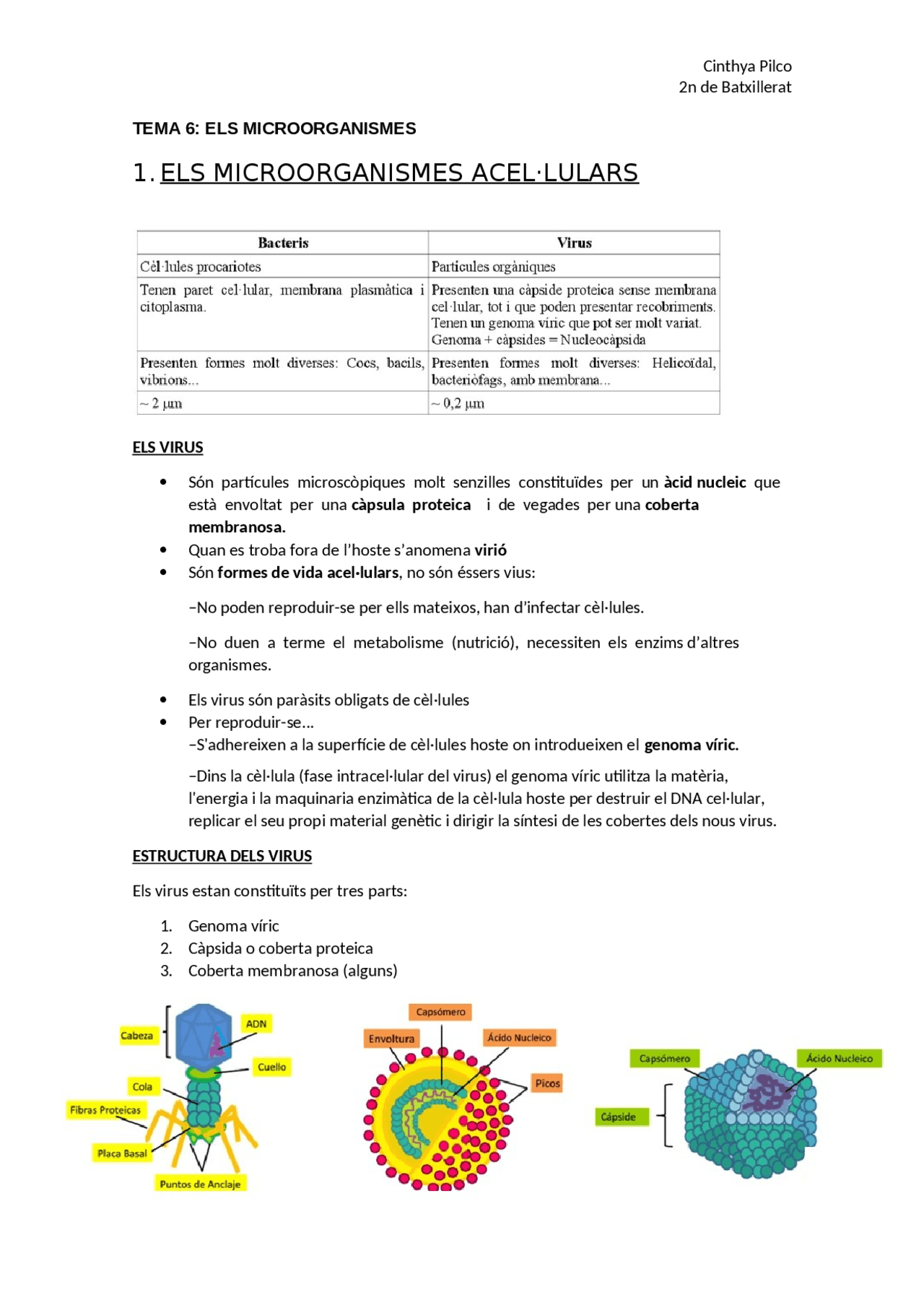 Els Microorganismes Docsity