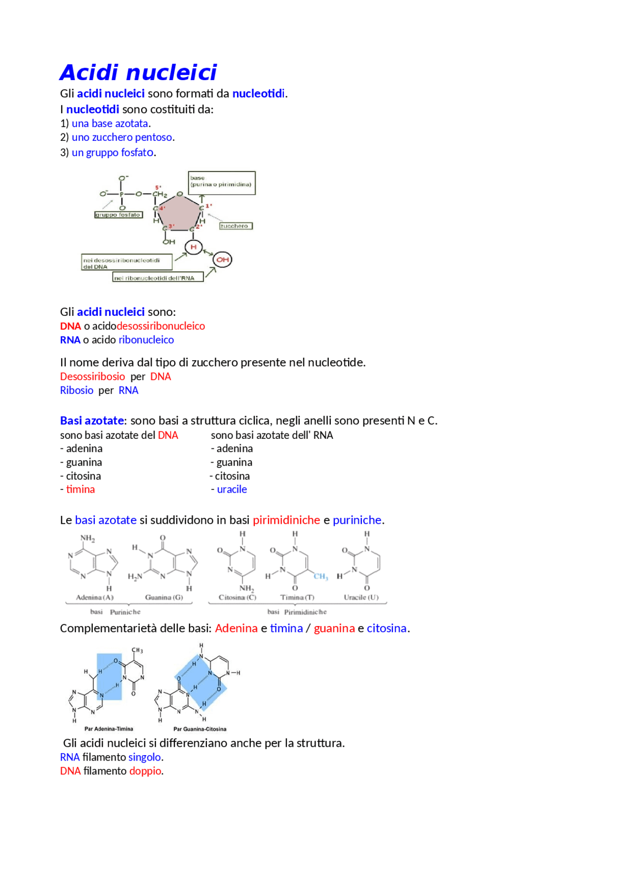 Gli Acidi Nucleici Dna E Rna Docsity