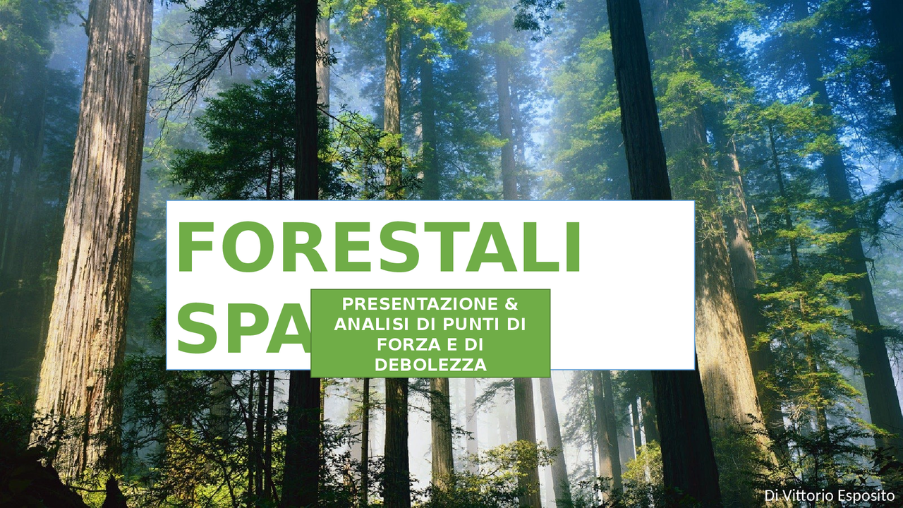 Analisi Marketing Di Forestali Docsity