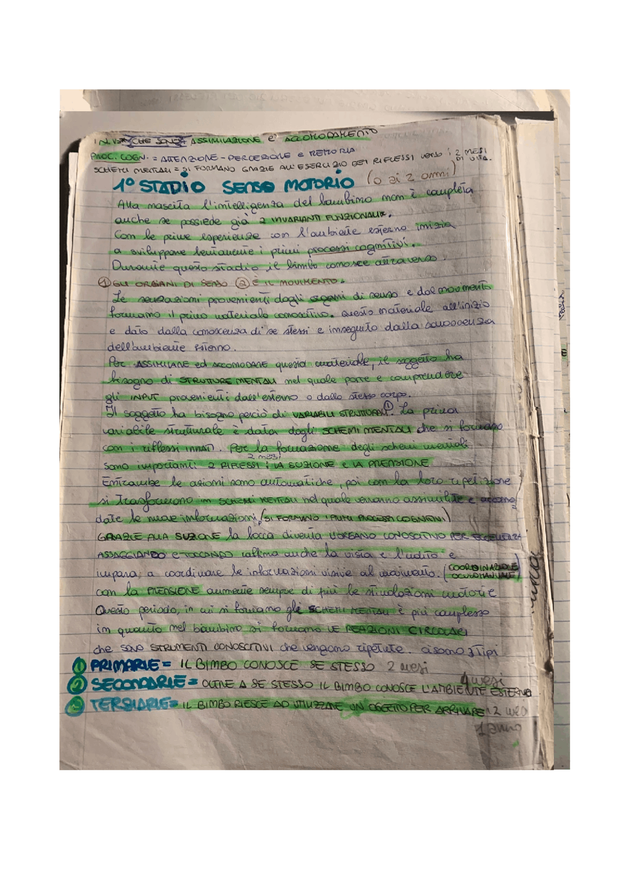 Stadi Piaget Riassunto Completo Docsity