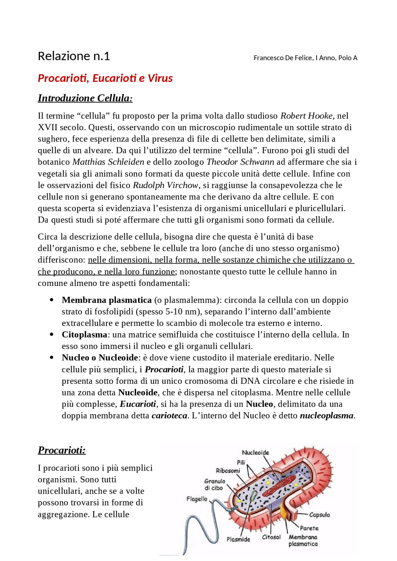 Procarioti Eucarioti E Virus Docsity
