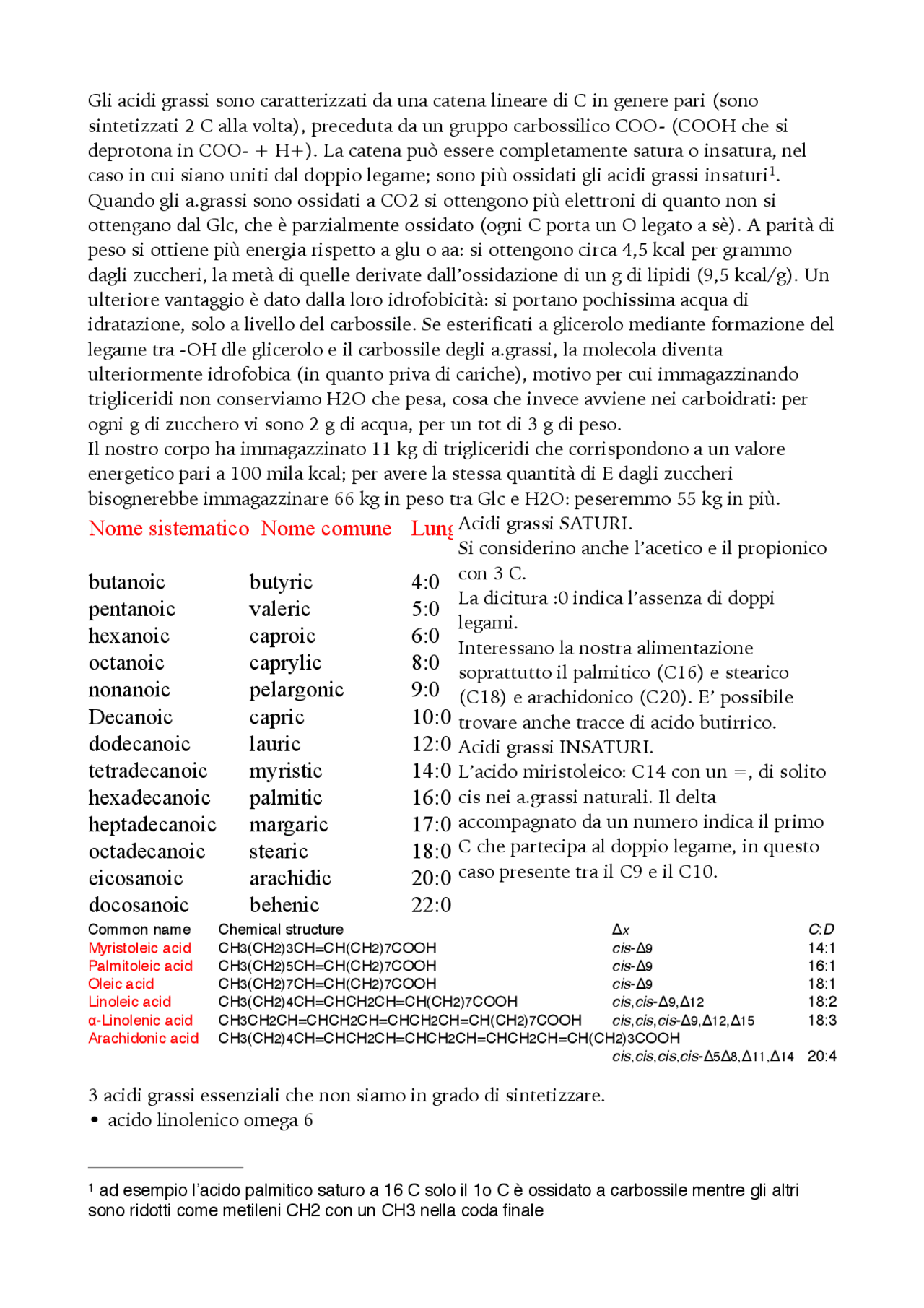Metabolismo Acidi Grassi Slide Di Biochimica Docsity