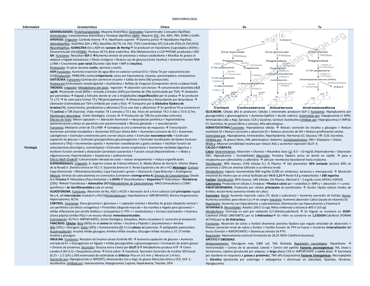Tabla de resumen del manual CTO Endocrinología - Docsity