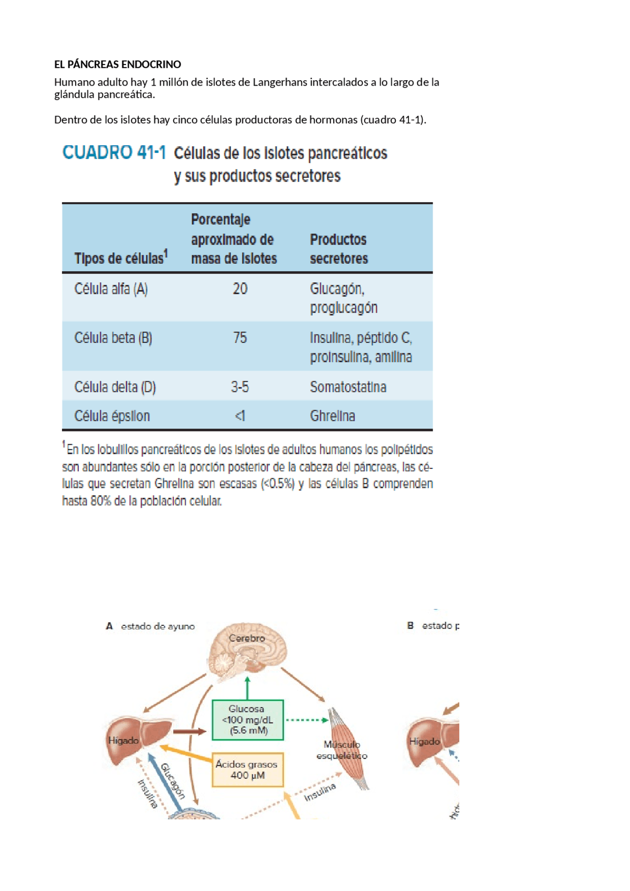 Resumen Farmacos Antidiabeticos Docsity