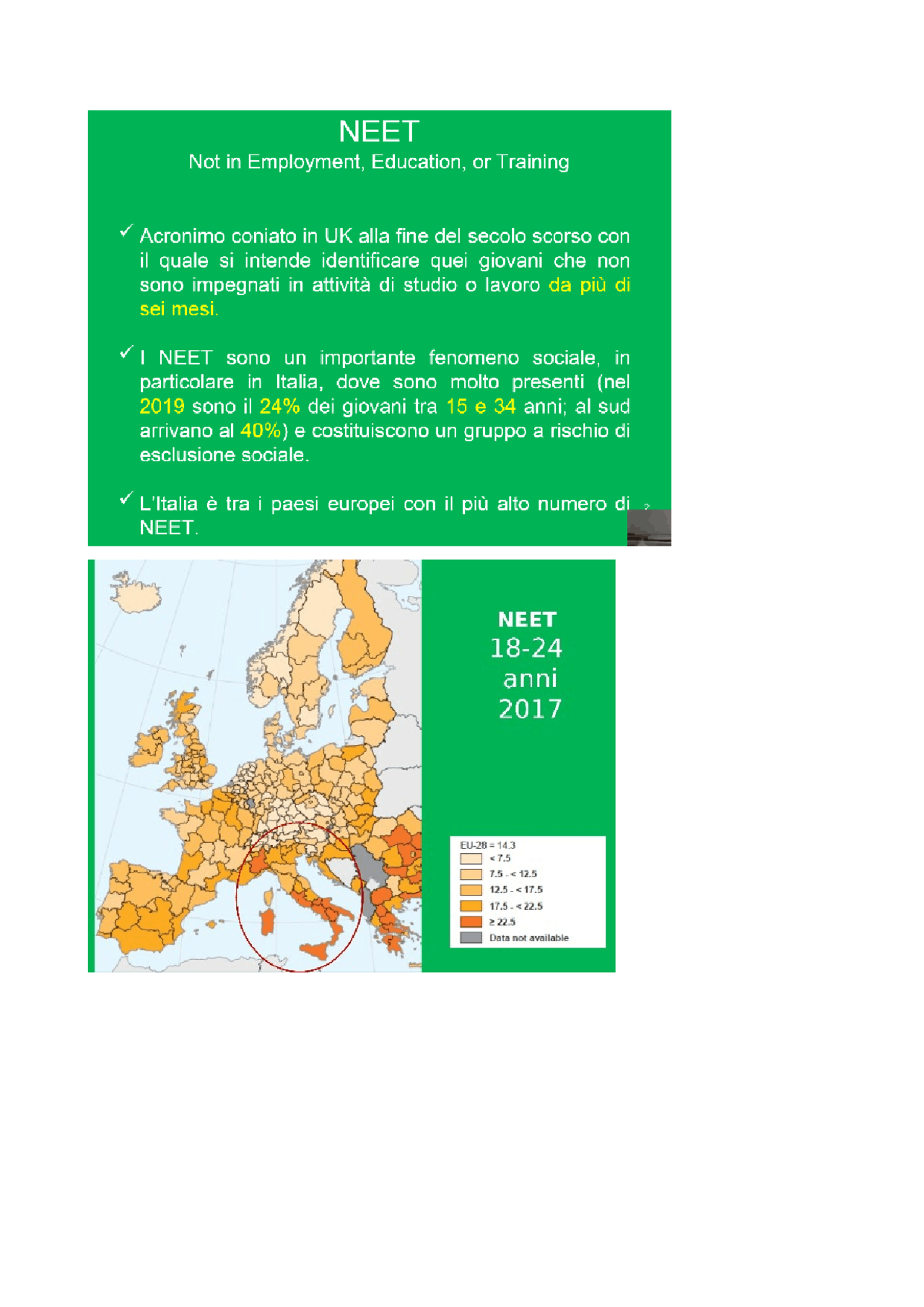 Descrizione Di Chi Sono I Neet Docsity