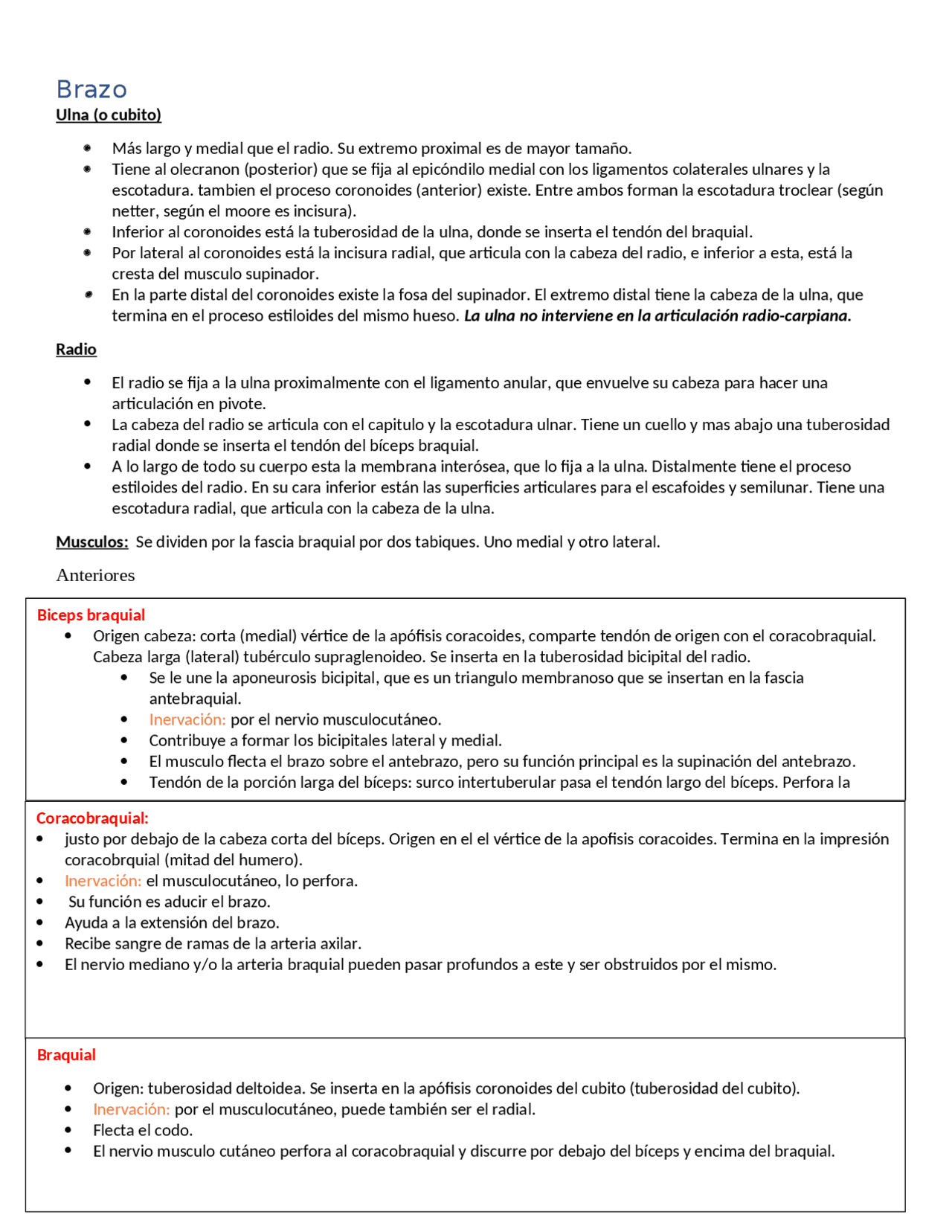 Resumen Anatomía Del Brazo Docsity
