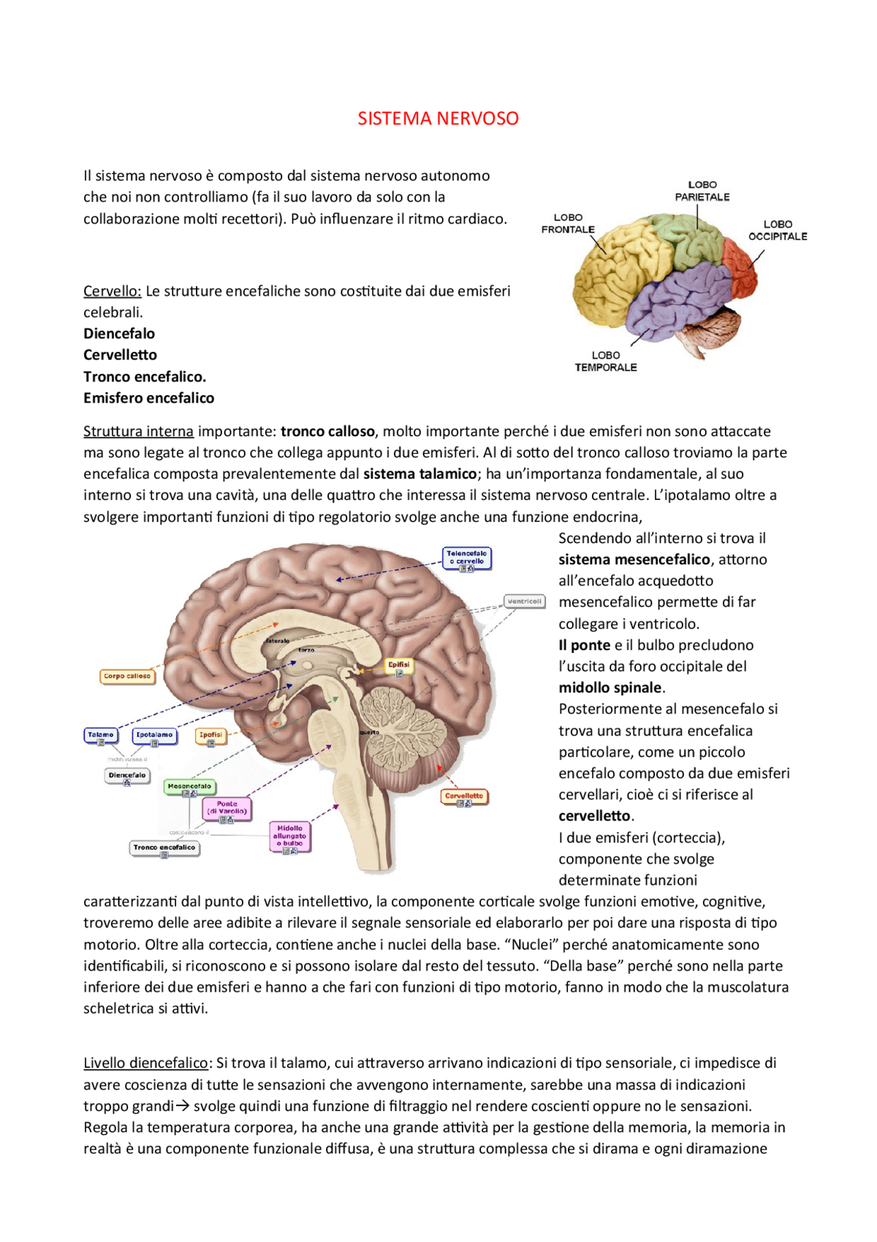 Appunti Anatomia Primo Anno Infermieristica Docsity