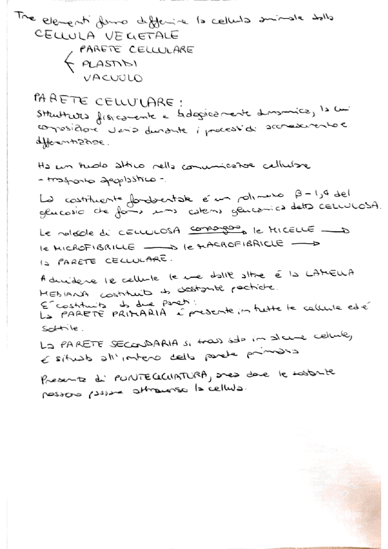 Botanica Parte Generale Docsity
