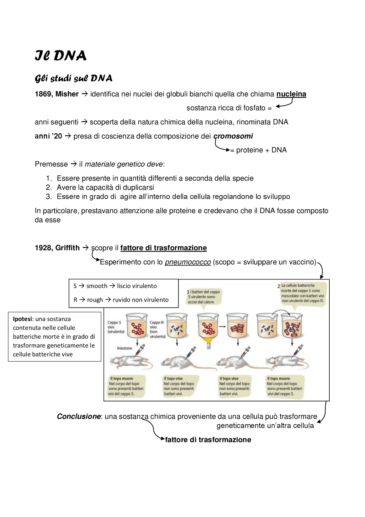 La scoperta del DNA: dalla nucleina alla doppia elica | Schemes and ...