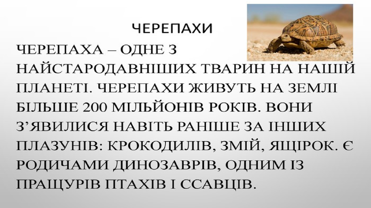 Презентация Powerpointasd Docsity
