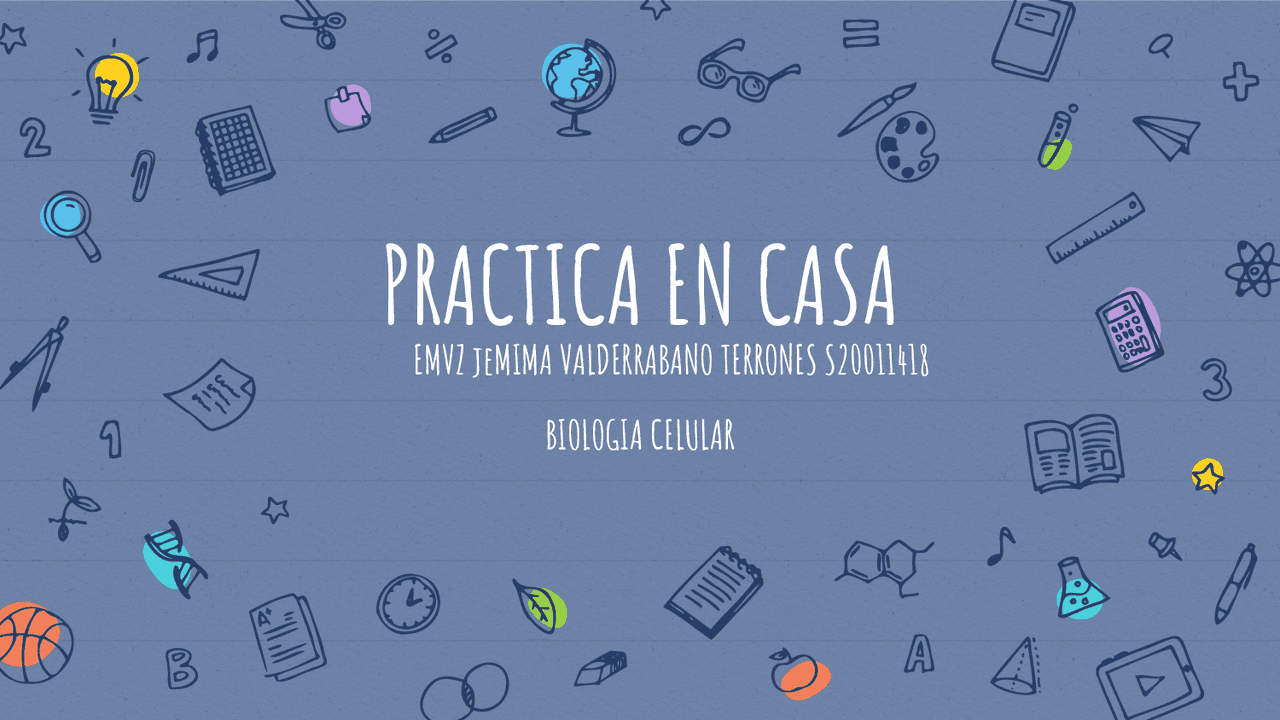 Ciclo Celular Practica Esercizi Di Biologia Docsity
