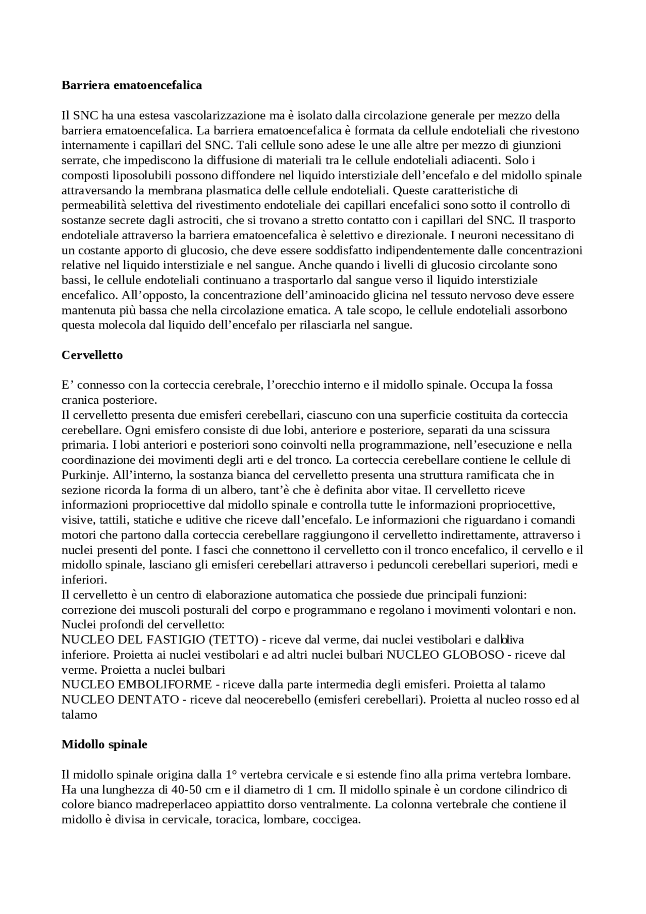 Sistema Nervoso Centrale Appunti Docsity