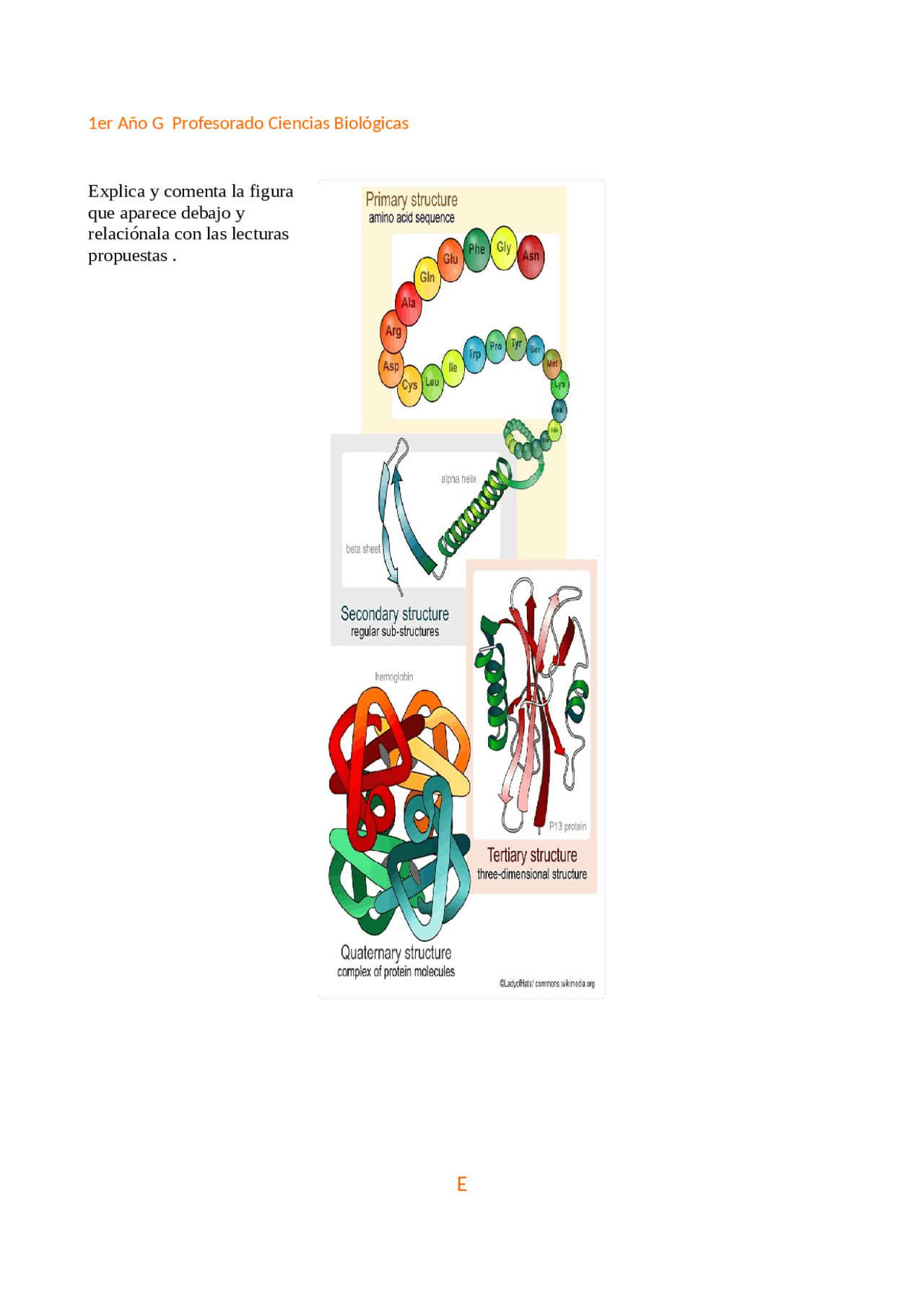 Estructura De Las Proteinas Docsity