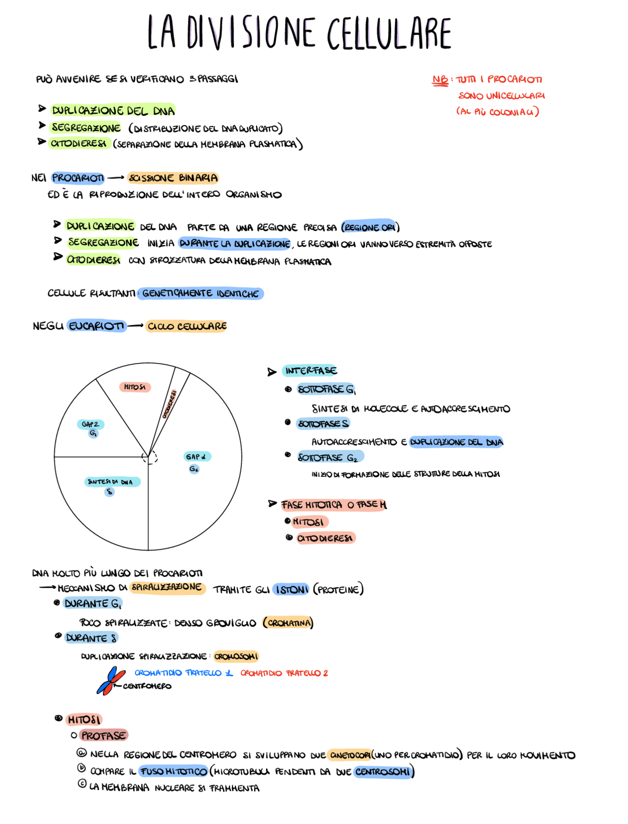 Biologia Appunti Divisione Cellulare Docsity