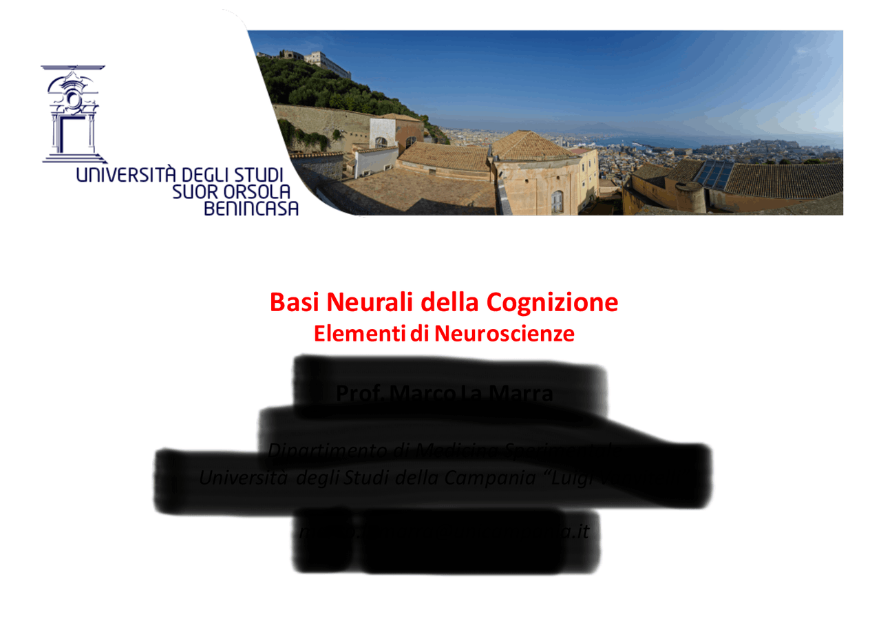 Basi Neurali Della Cognizione Docsity