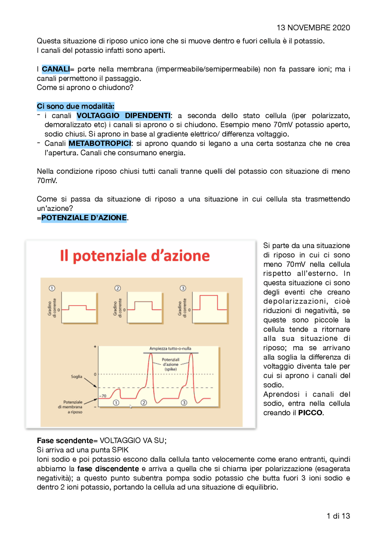 Psicobiologia Lezione In Classe Docsity