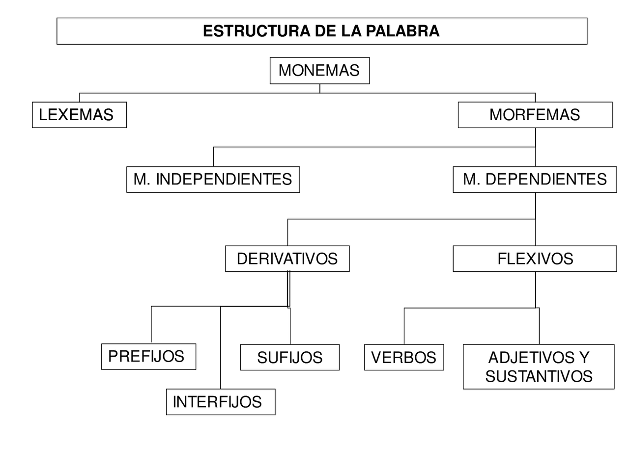 Estructura de la palabra - Docsity