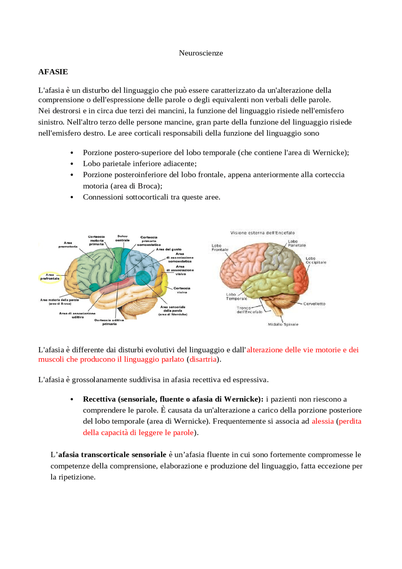 Cenni Di Neuroscienze Sintesi Del Corso Di Neuroscienze Docsity
