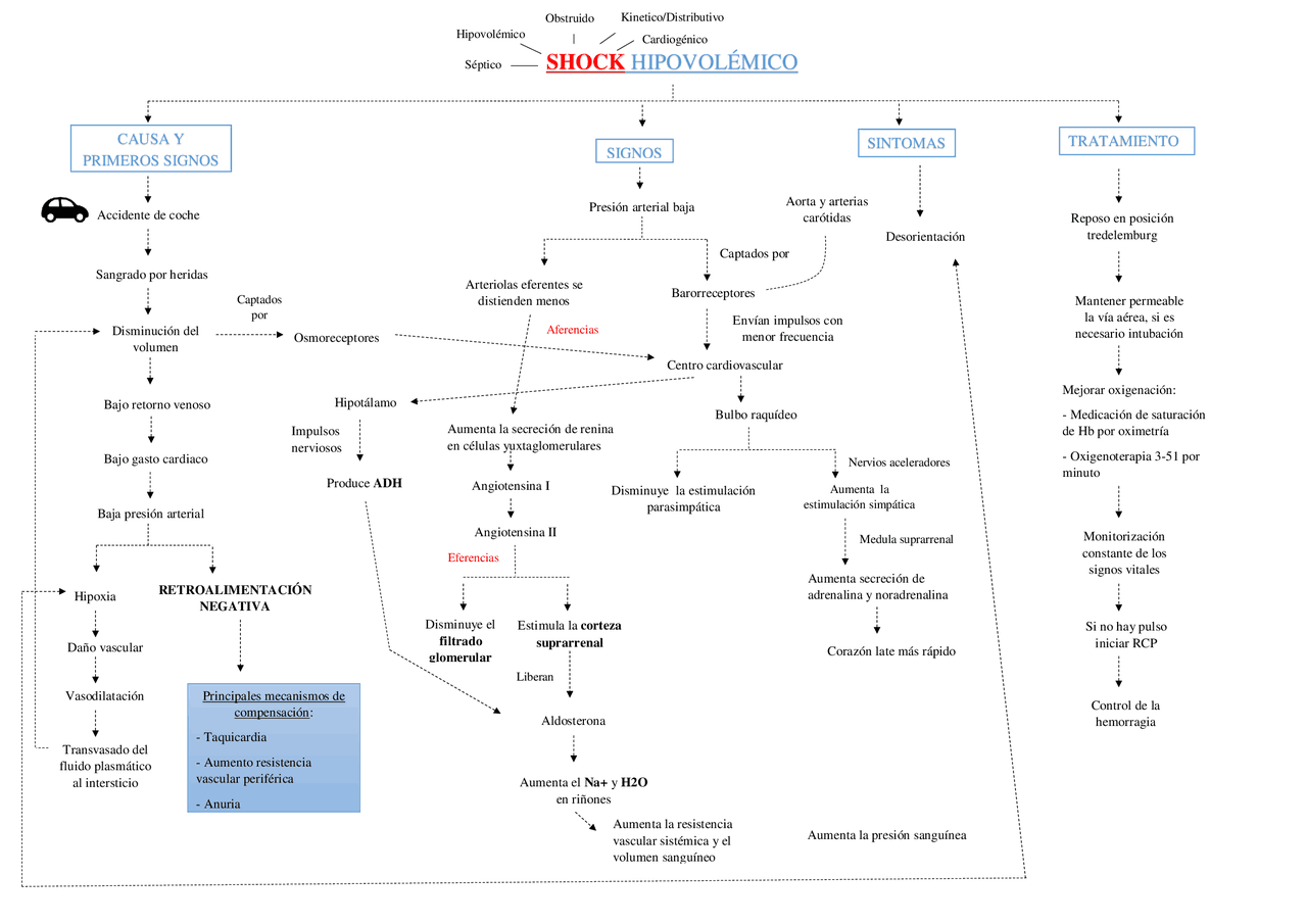 Mapa conceptual - shock hipovolémico | Esquemas y mapas conceptuales de Anatomía | Docsity