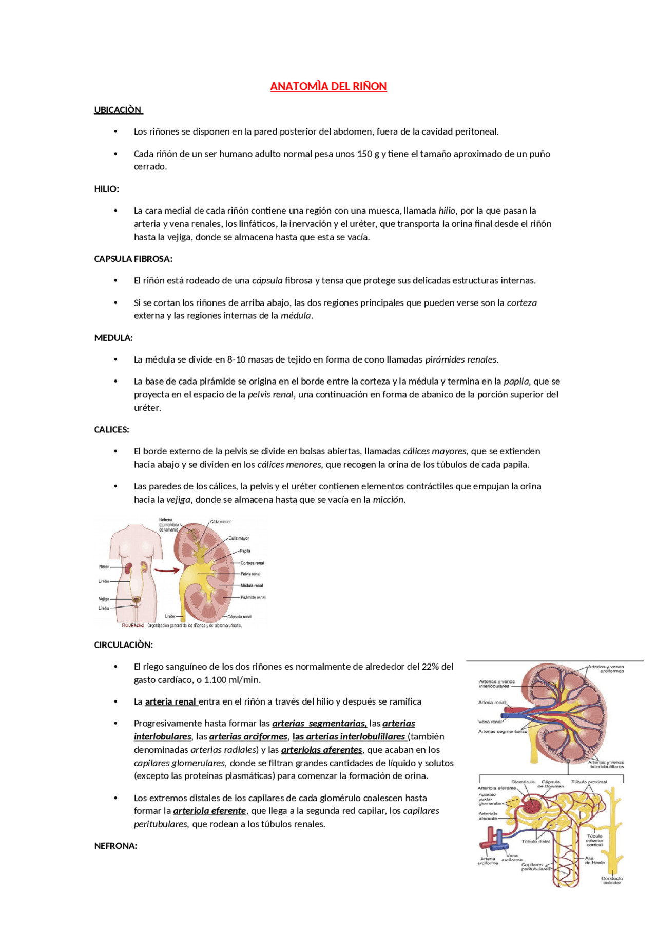 RESUMEN DIURETICOS FARMACOLOGIA - Docsity