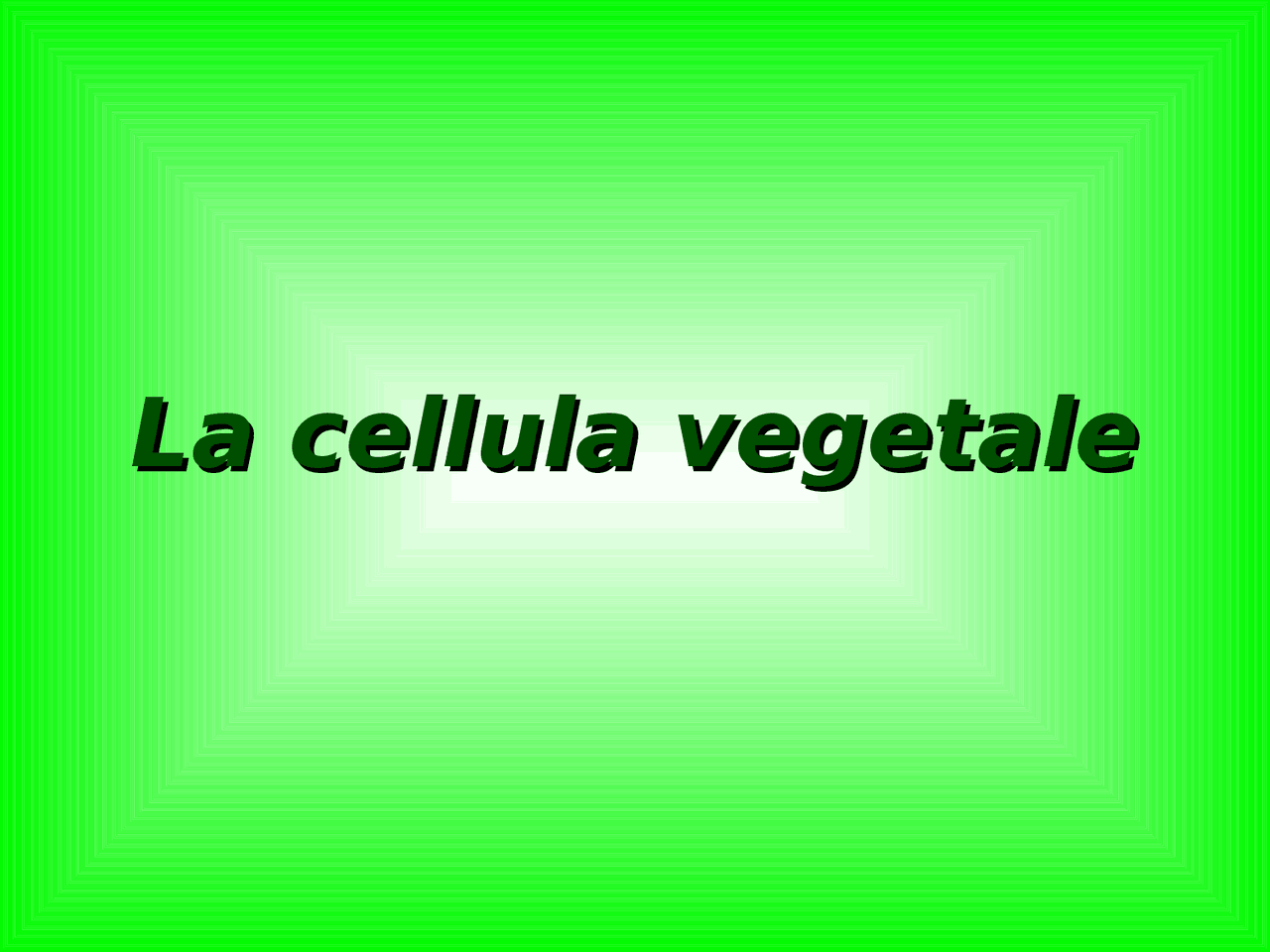 Cellula Vegetale Umana Docsity