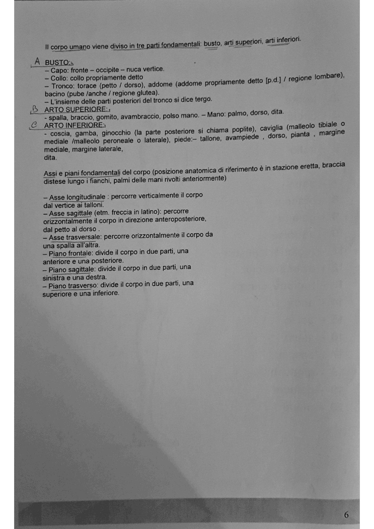 Appunti Basi Dellattività Motoria Docsity