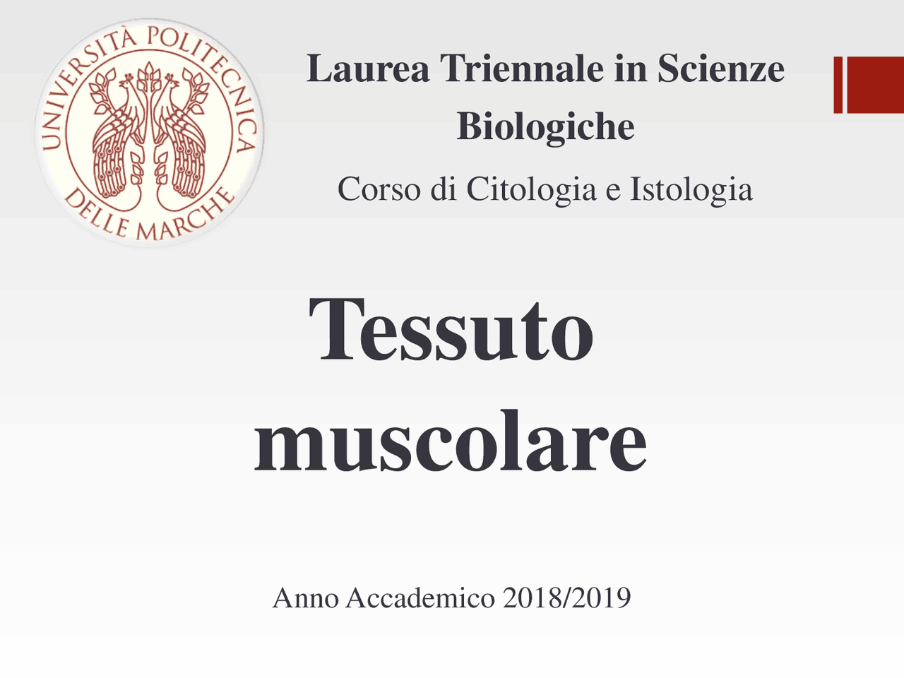 Slides Tessuto Muscolare Docsity