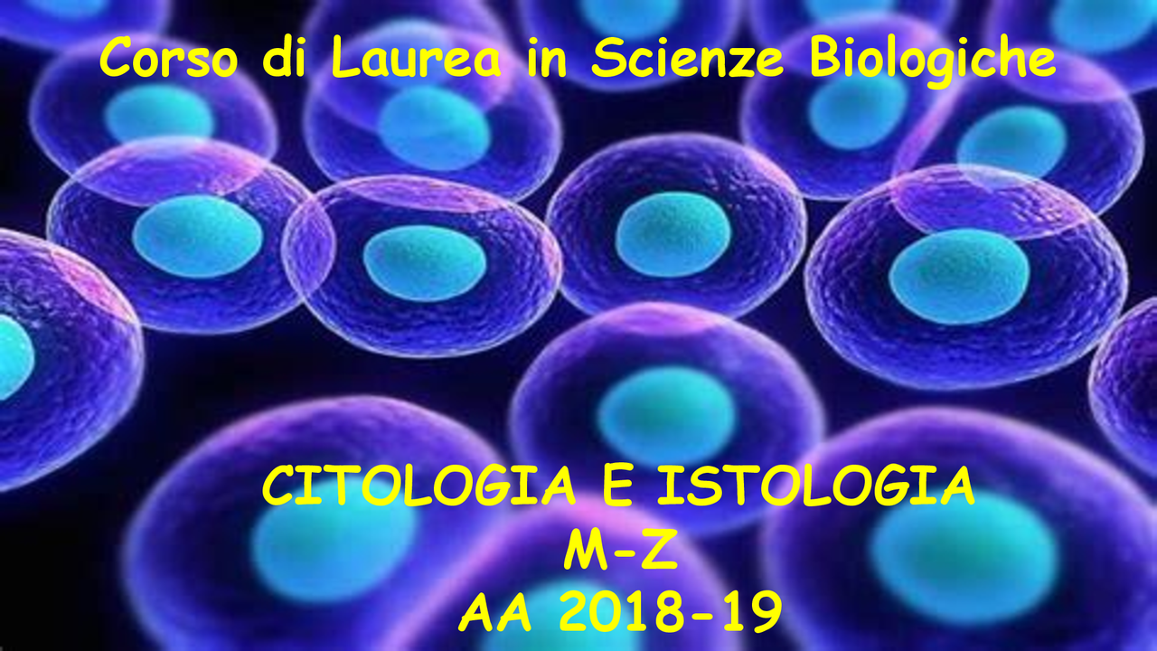 Slides Introduzione Alla Citologia Docsity
