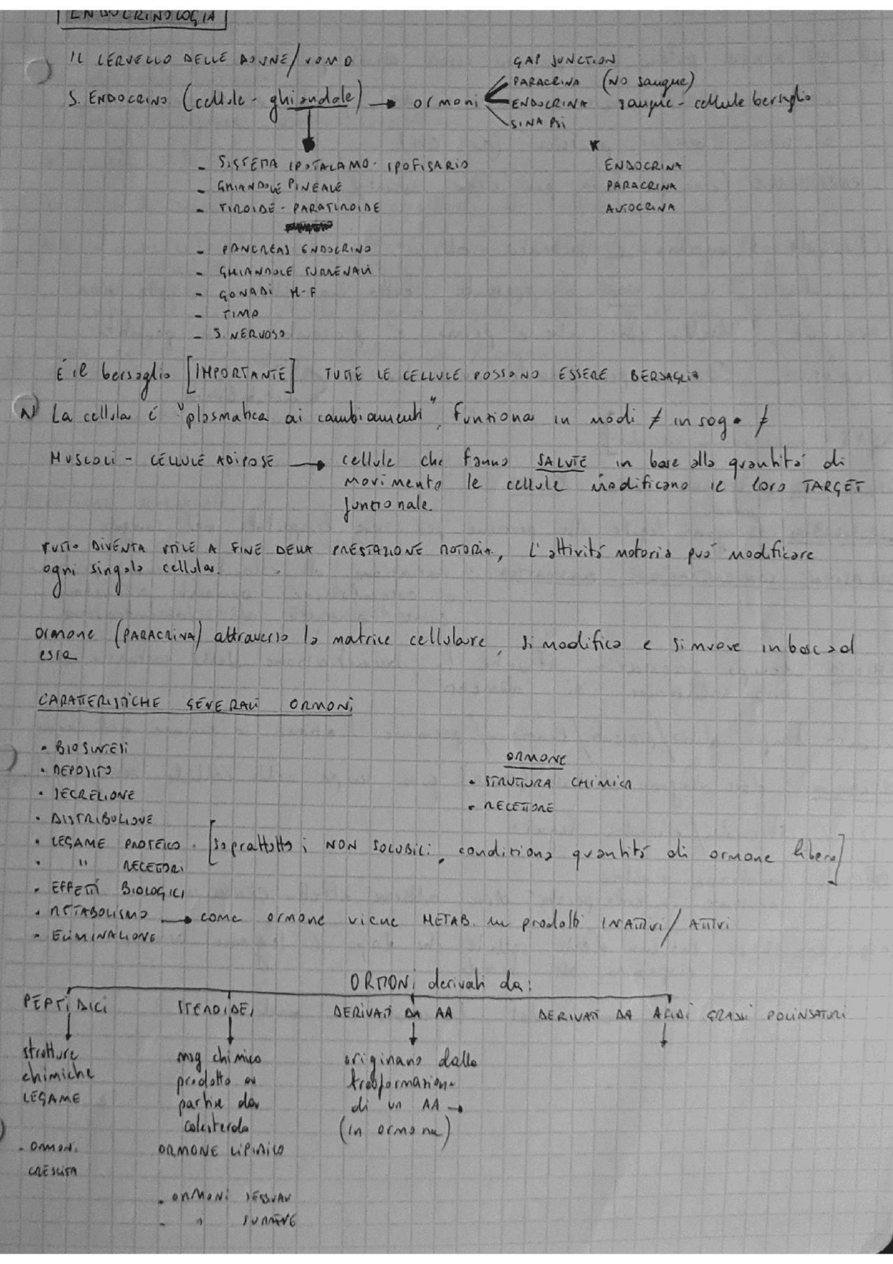 Appunti Endocrinologia Docsity